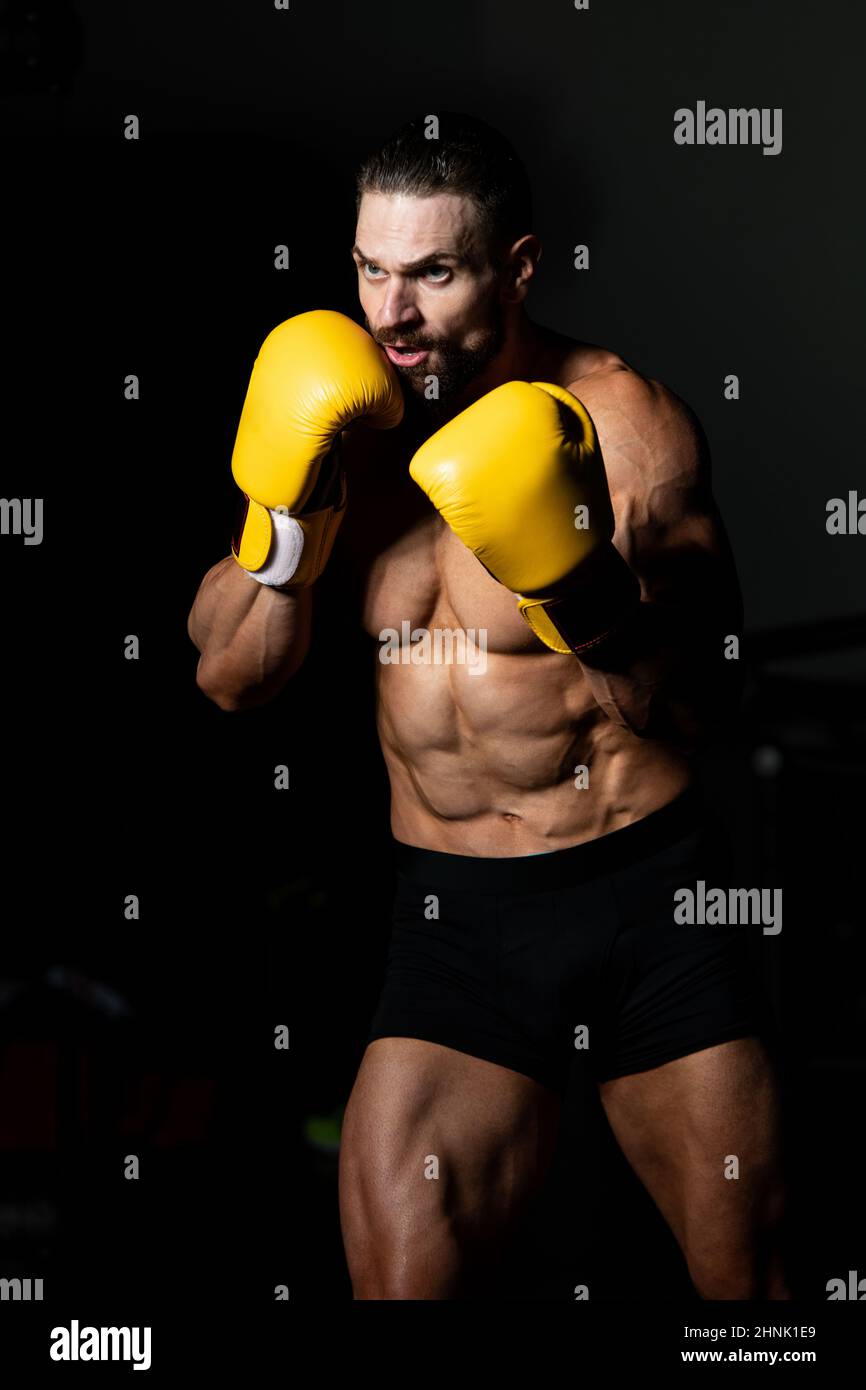 MMA Fighter Practicing Boxing In Gym Stock Photo - Alamy