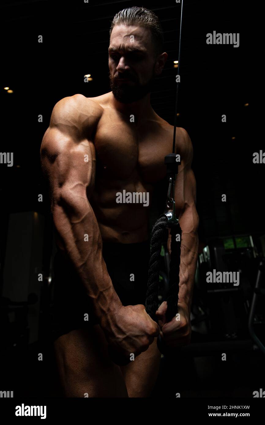 Man Exercising Triceps In The Gym Stock Photo - Alamy