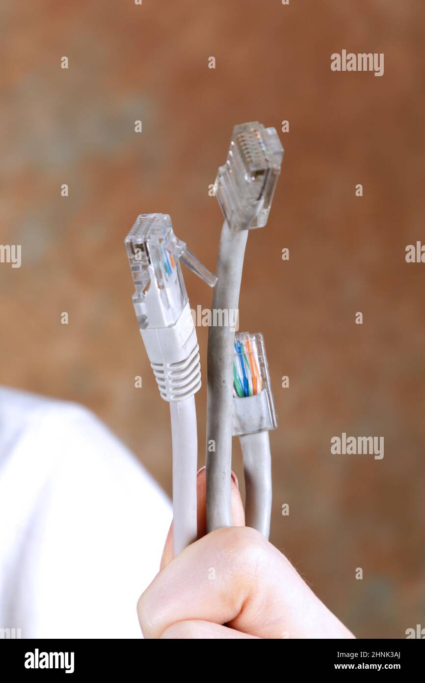 Hand holding computer network connectors data cables Stock Photo - Alamy