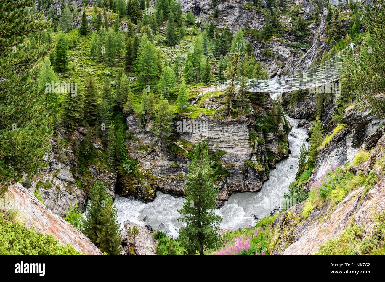 Plima hi-res stock photography and images - Alamy