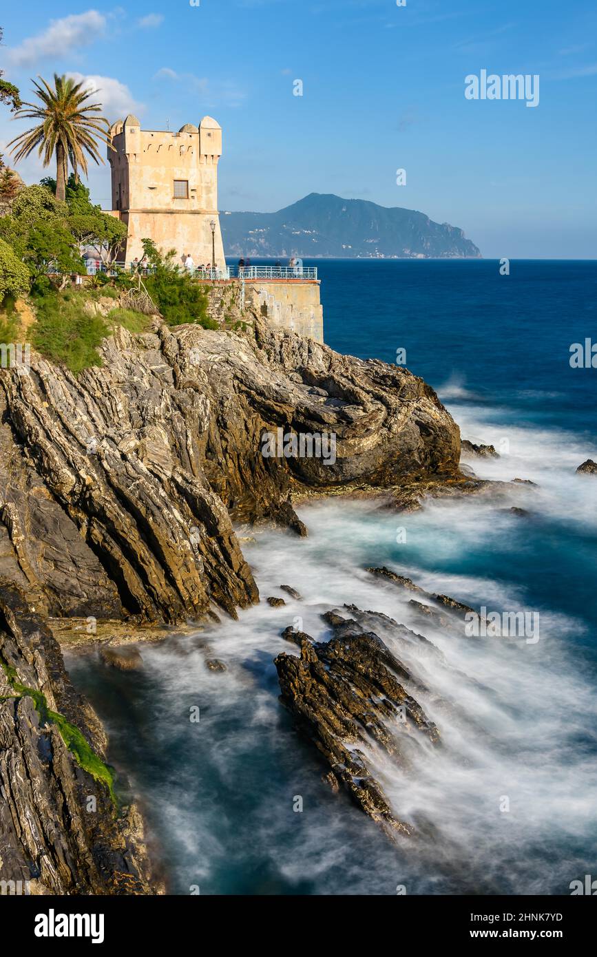 Nervi hi-res stock photography and images - Alamy
