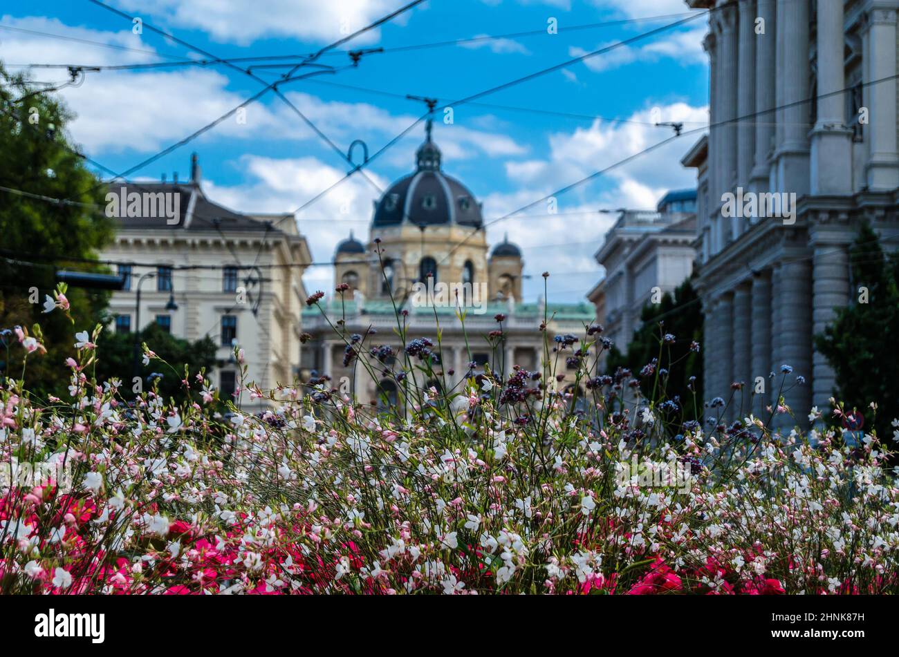 Classical architecture in Vienna, Austria Stock Photo - Alamy