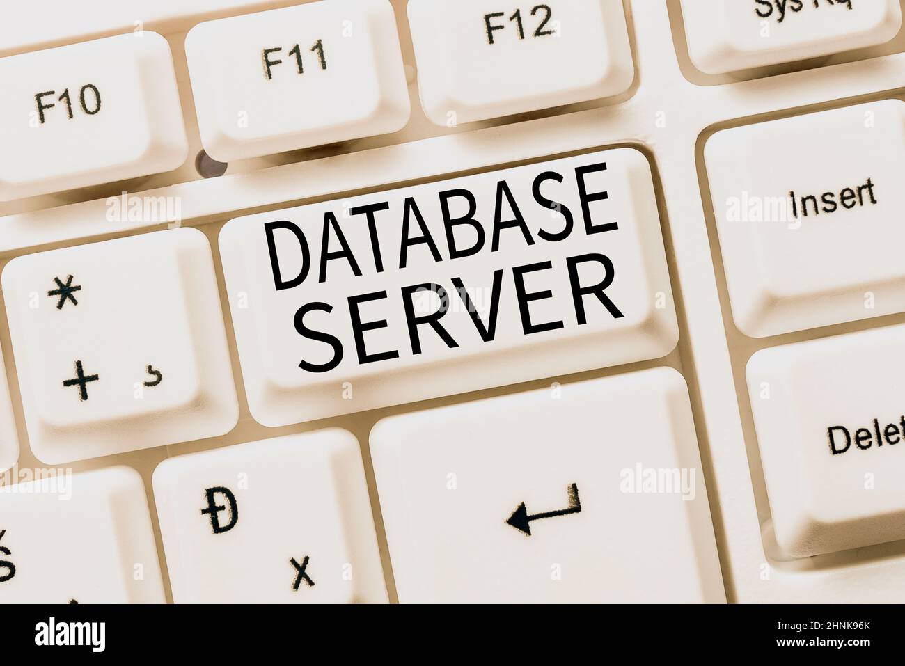 Text caption presenting Database Server, Business idea uses a database ... Text caption presenting Database Server, Business idea uses a database ...