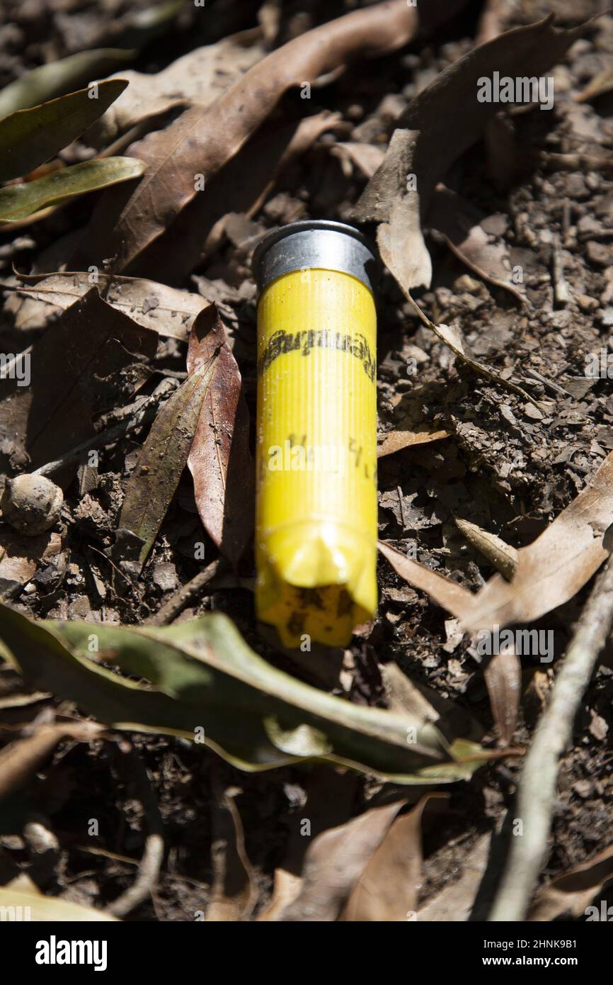 Discharged Yellow Ammunition Shell Stock Photo - Alamy