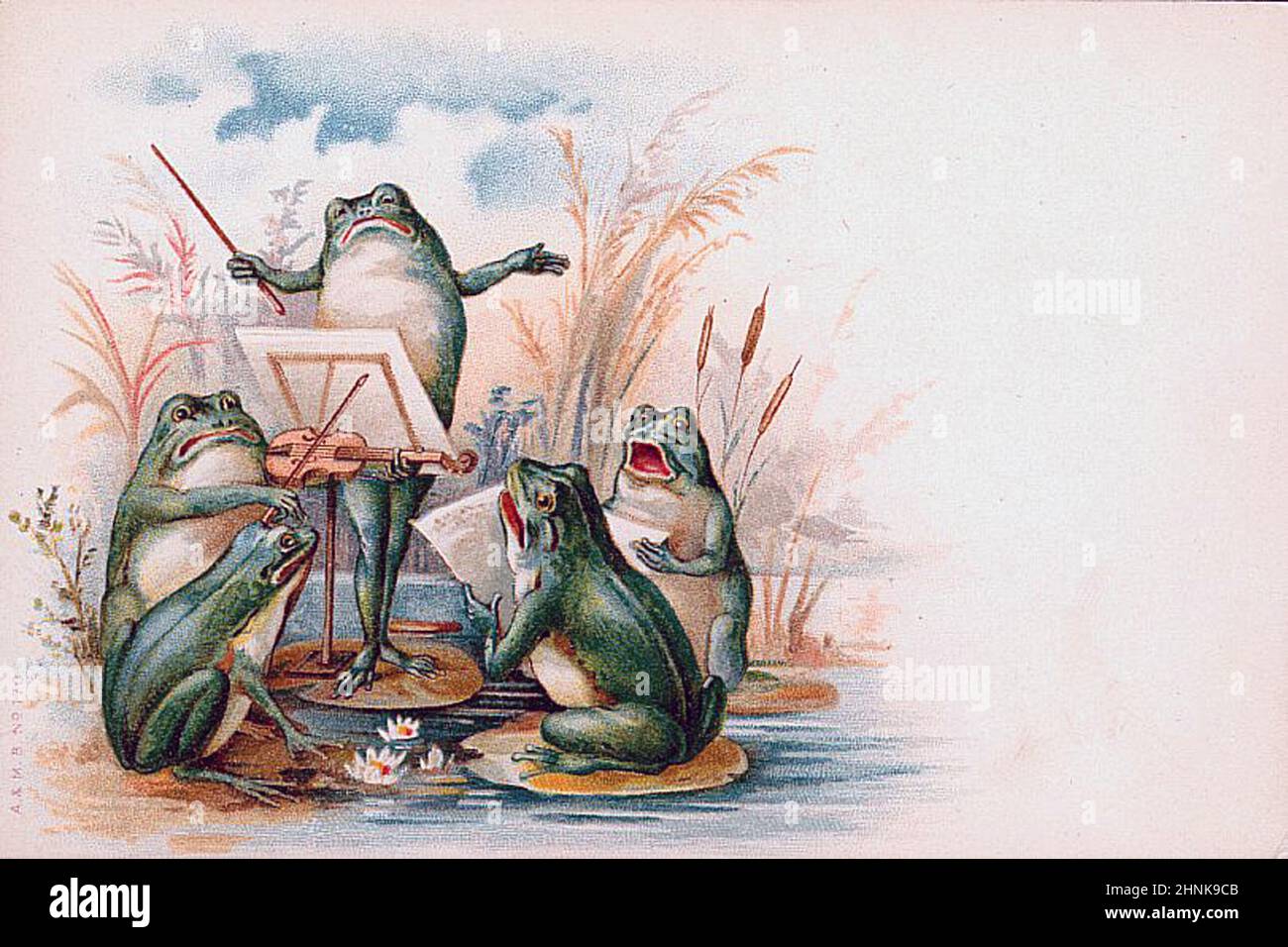 Frogs chorus hi-res stock photography and images - Alamy