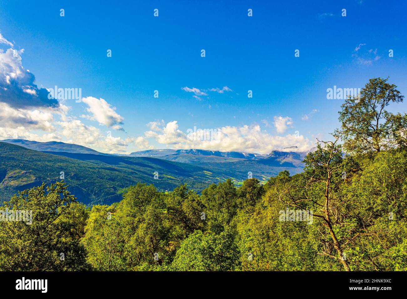 Mountain and forest landscape panorama at sunny day in Vang i Valdres ...