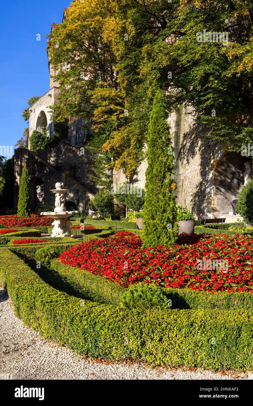 Medieval Castle Garden Flowers Wisteria Flowers In 4k Fairy Castle