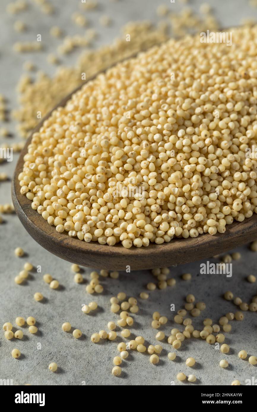 Raw Dry Organic Millet Grain Ready to Cook Stock Photo - Alamy