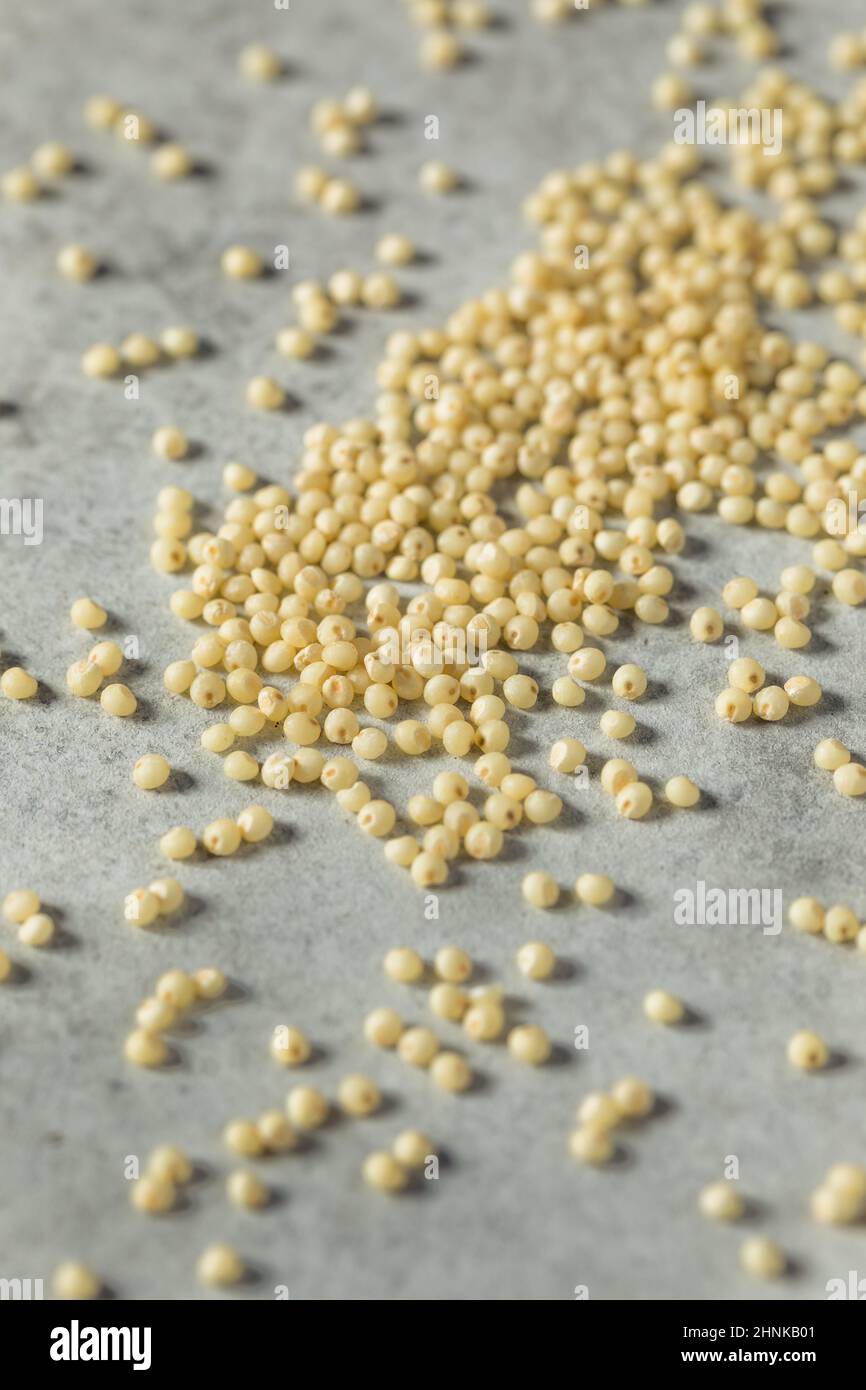 Raw Dry Organic Millet Grain Ready to Cook Stock Photo - Alamy