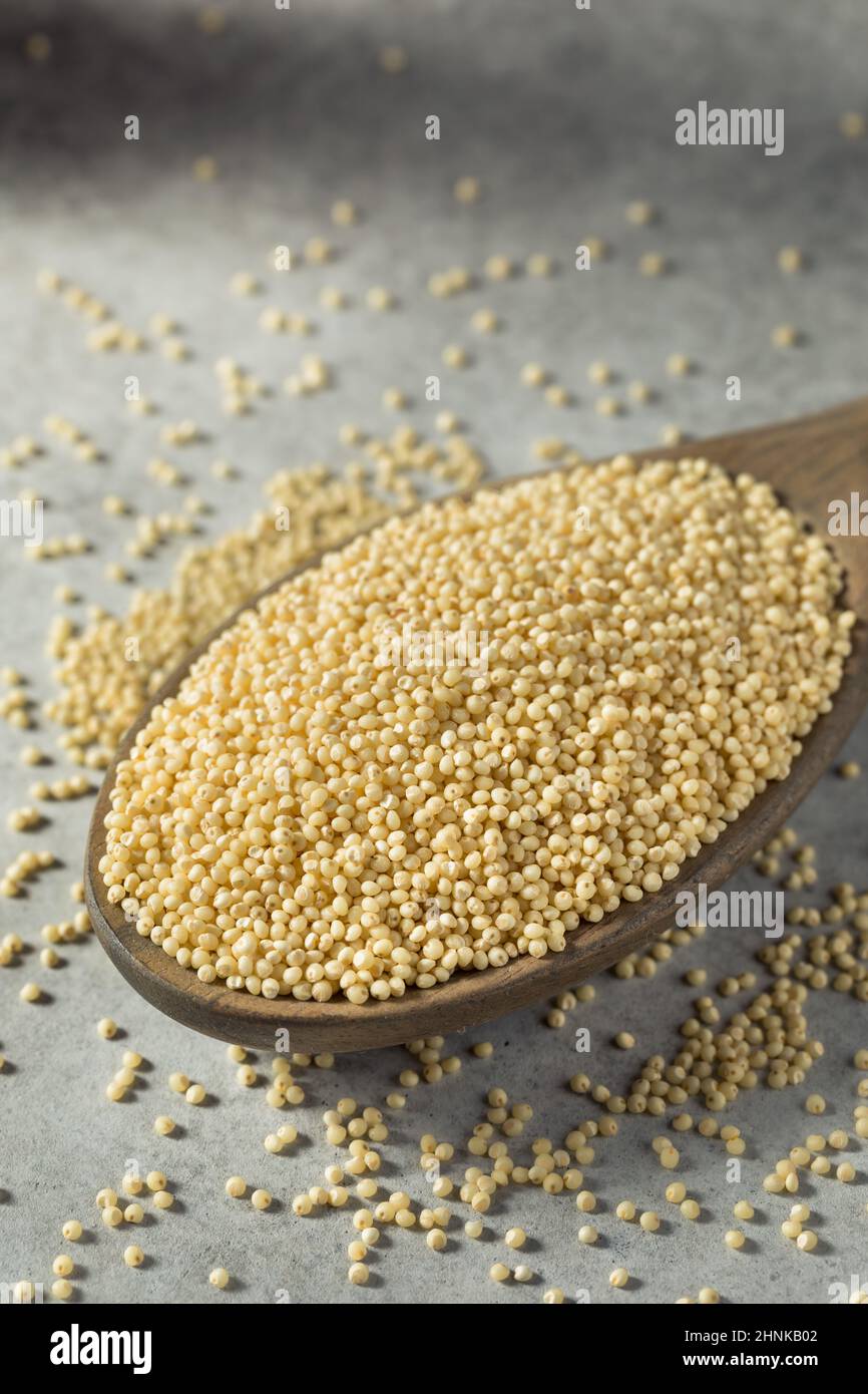 Raw Dry Organic Millet Grain Ready to Cook Stock Photo - Alamy