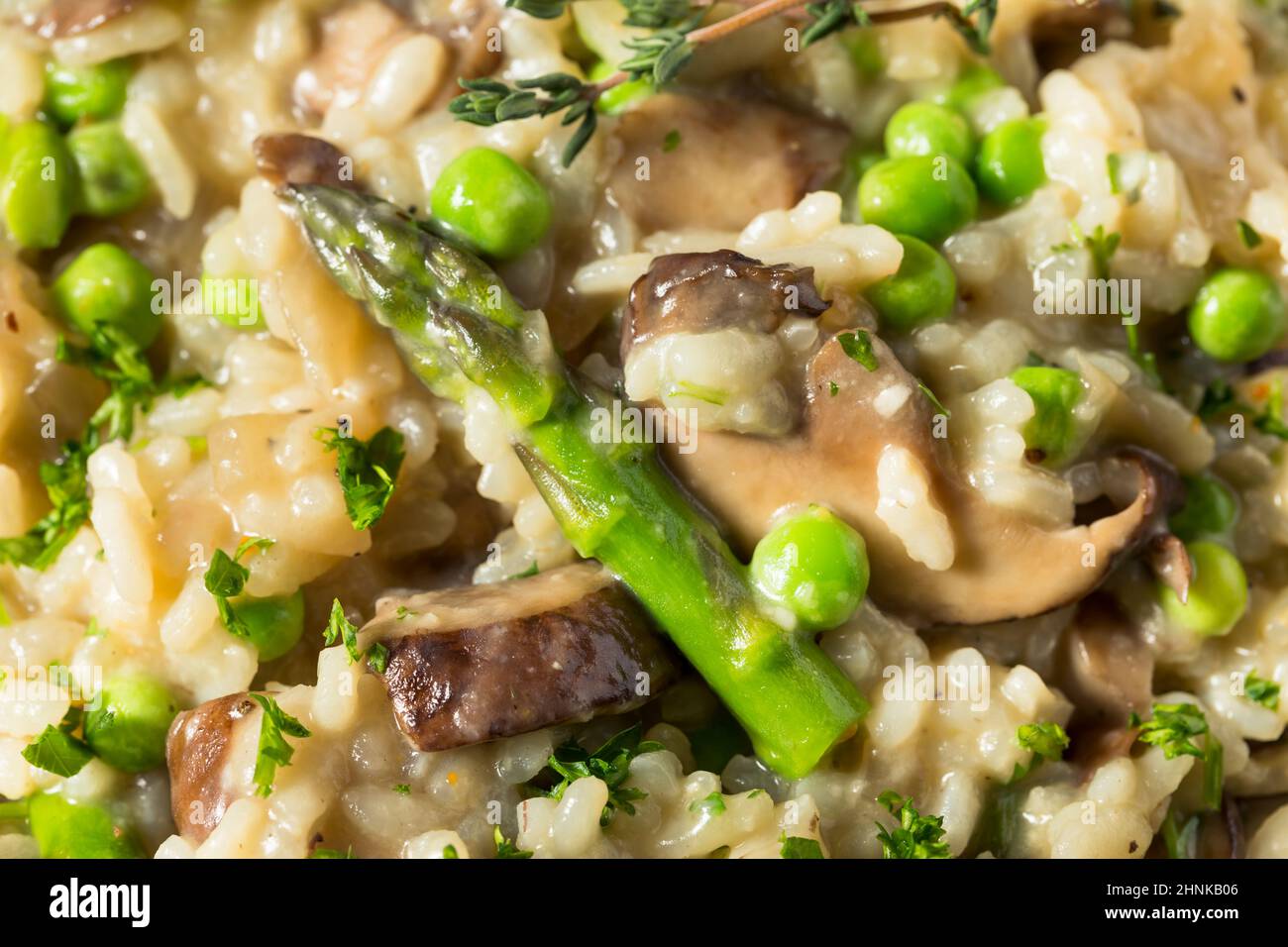 Homemade Italian Asparagus and Mushroom Risotto with Thyme Stock Photo ...
