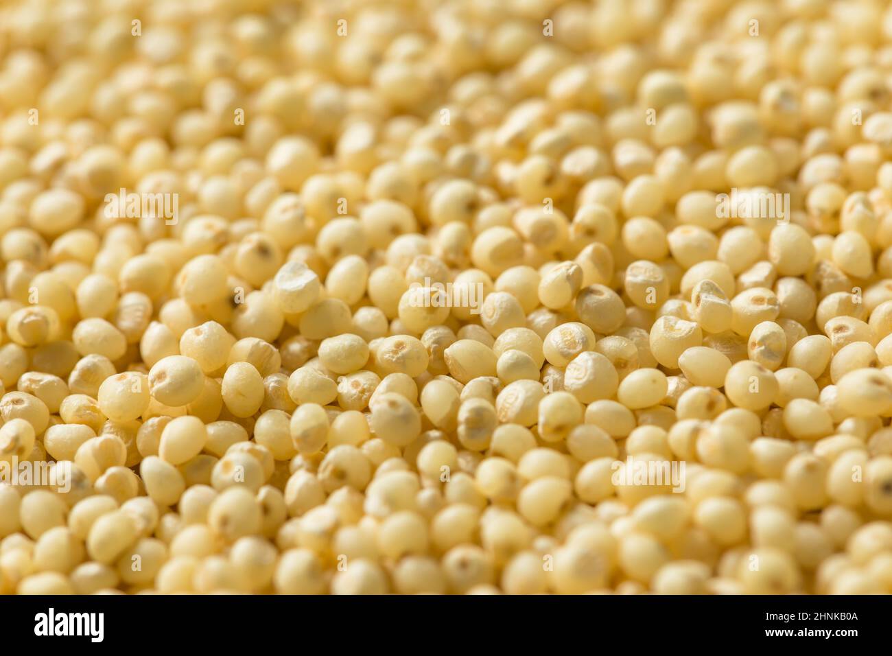 Raw Dry Organic Millet Grain Ready to Cook Stock Photo - Alamy