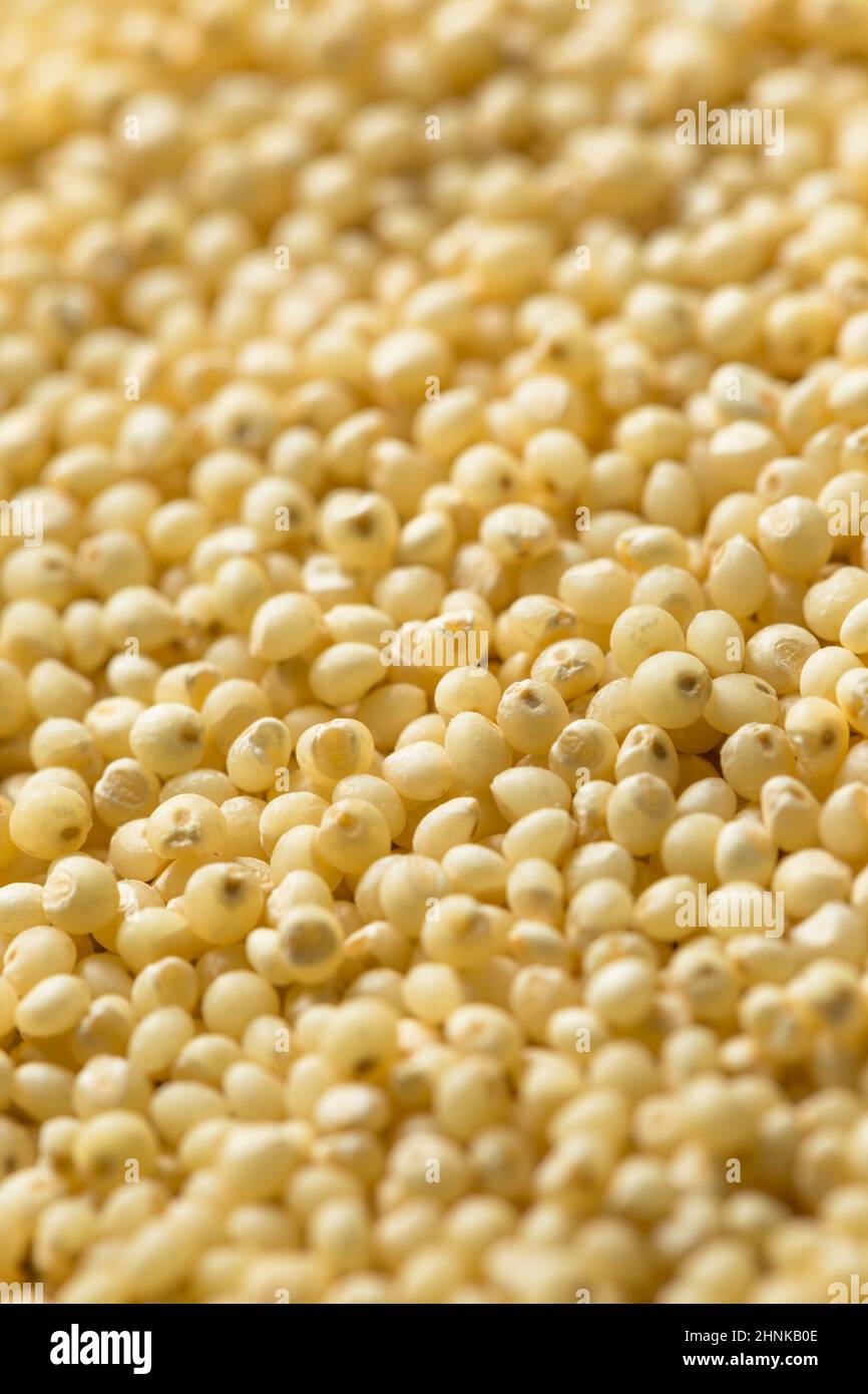 Raw Dry Organic Millet Grain Ready to Cook Stock Photo - Alamy