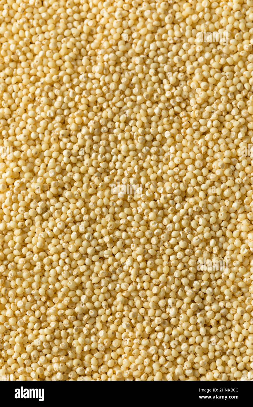 Raw Dry Organic Millet Grain Ready to Cook Stock Photo - Alamy