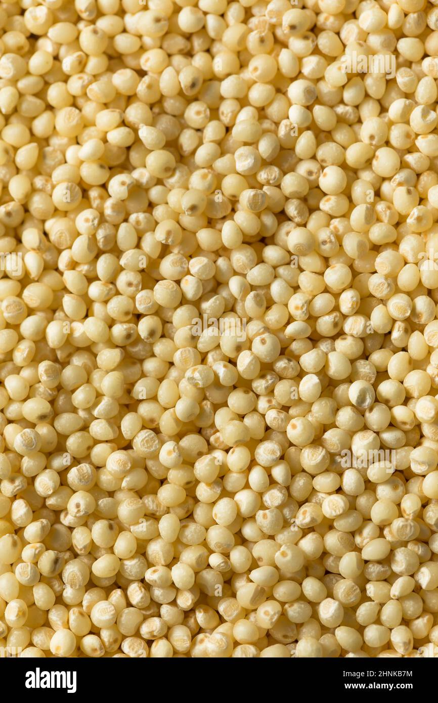 Raw Dry Organic Millet Grain Ready to Cook Stock Photo - Alamy
