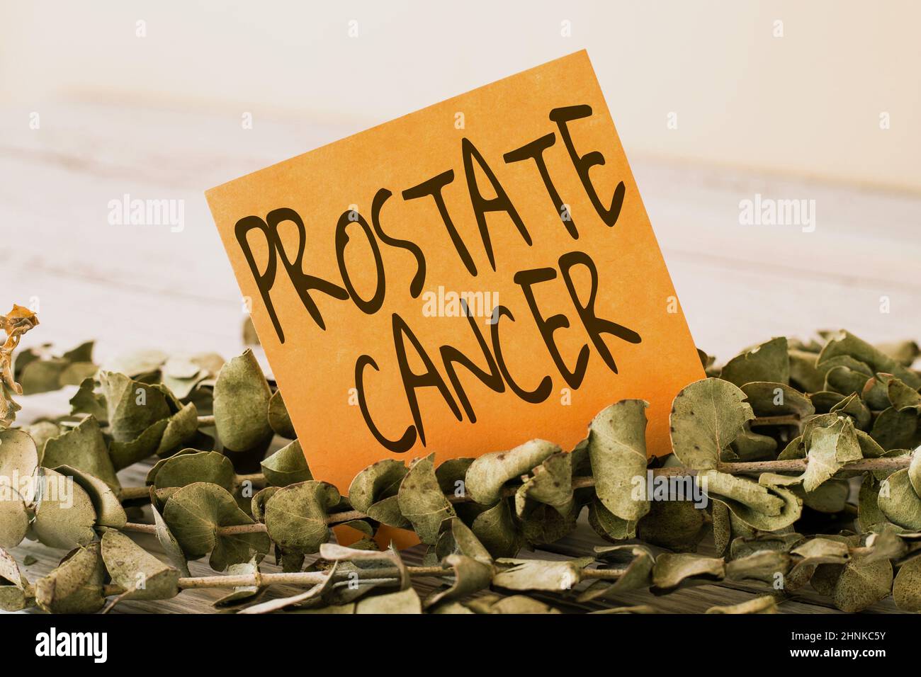 Conceptual display Prostate Cancer, Business concept cancer develops in ...