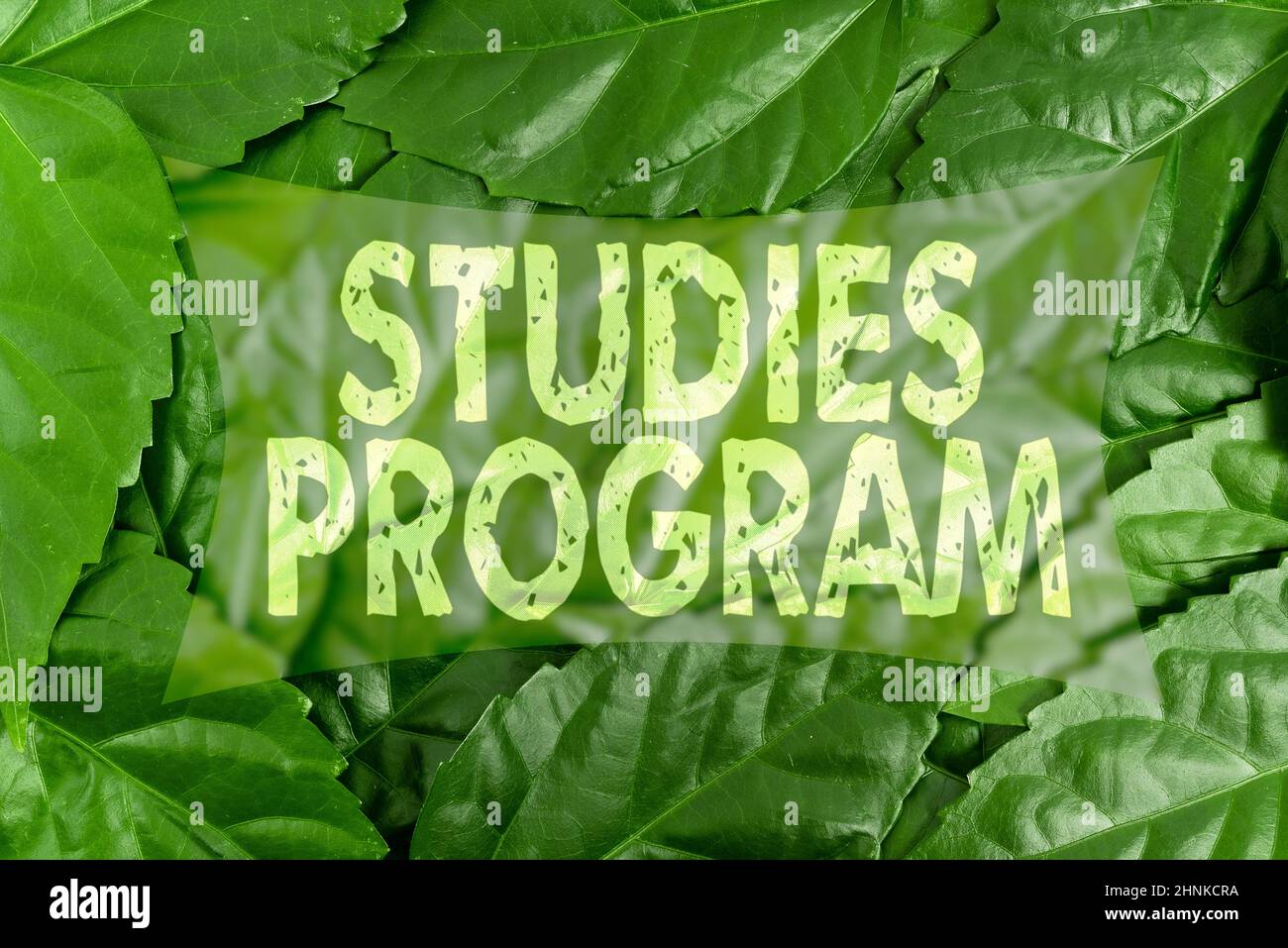 Conceptual display Studies Program, Internet Concept Platform help move ... Conceptual display Studies Program, Internet Concept Platform help move ...