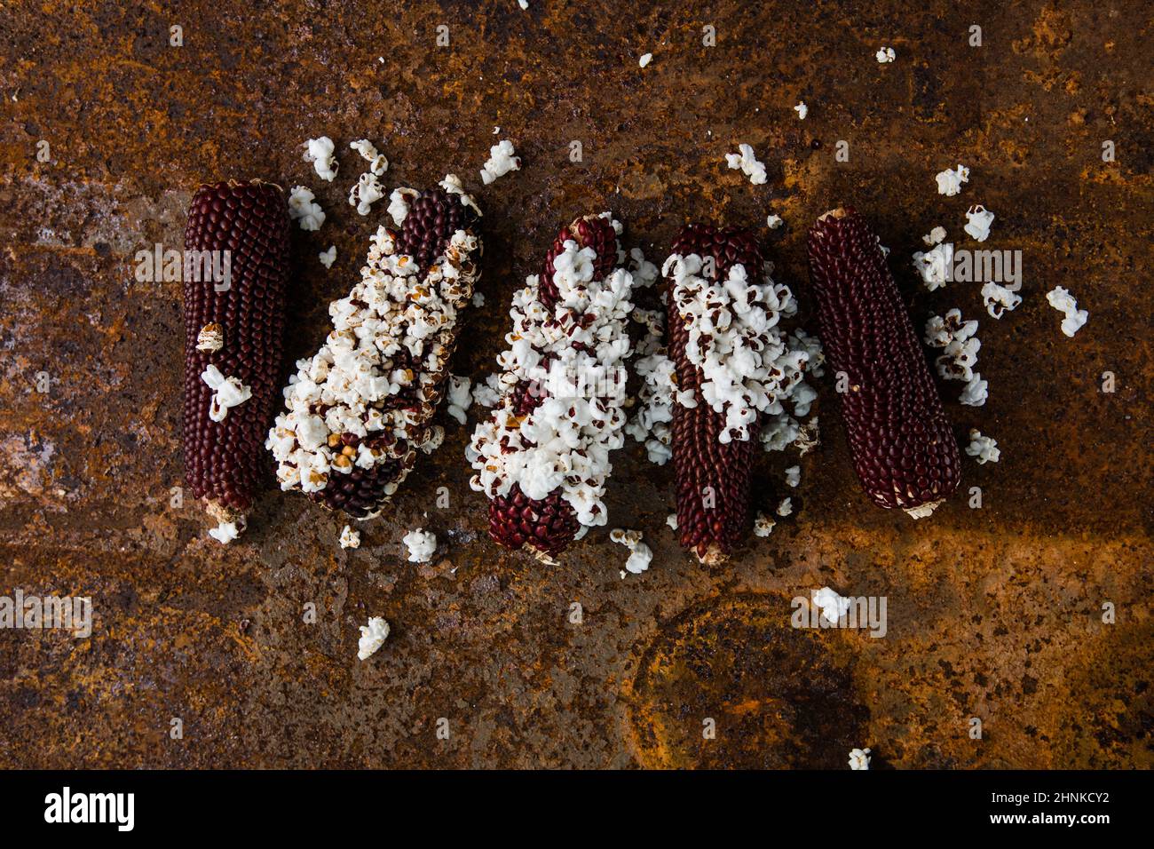 Popcorn corn cob. Multicolored corn texture. Organic farm bio ...