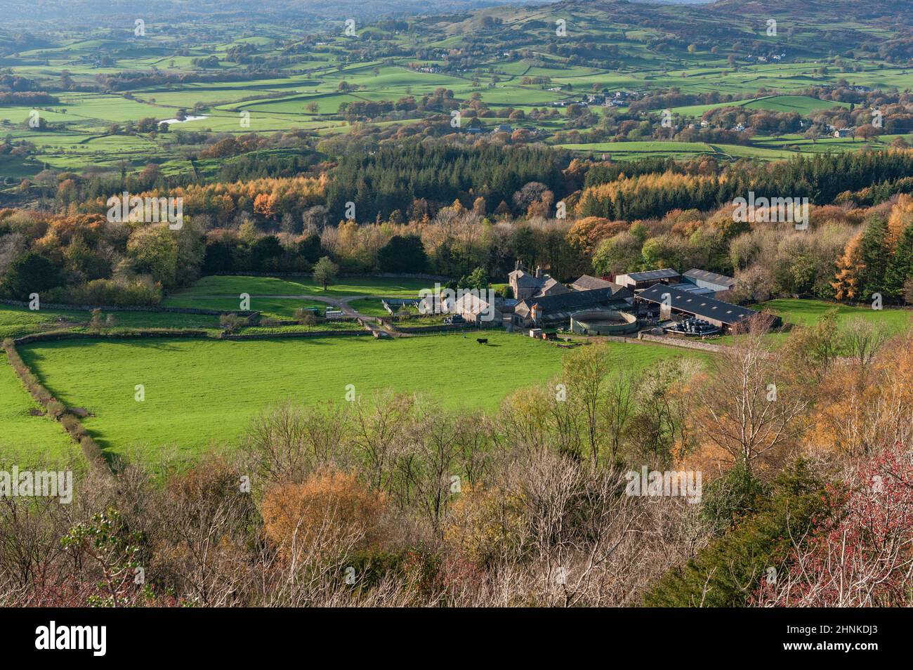 barrow field from Scout Scar near Kendal in Cumbria Stock Photo - Alamy
