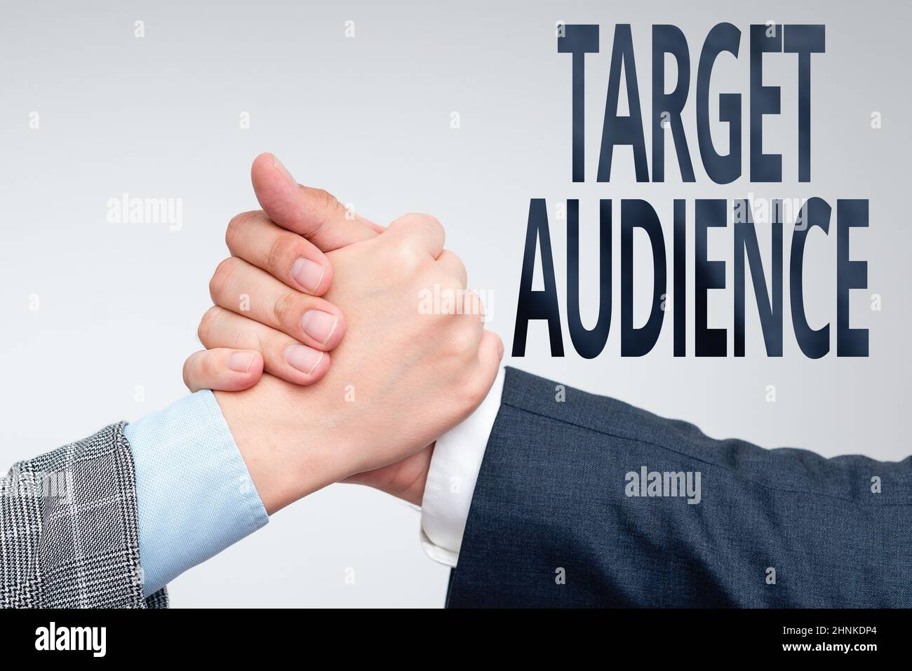 Text caption presenting Target Audience, Business approach identified ...