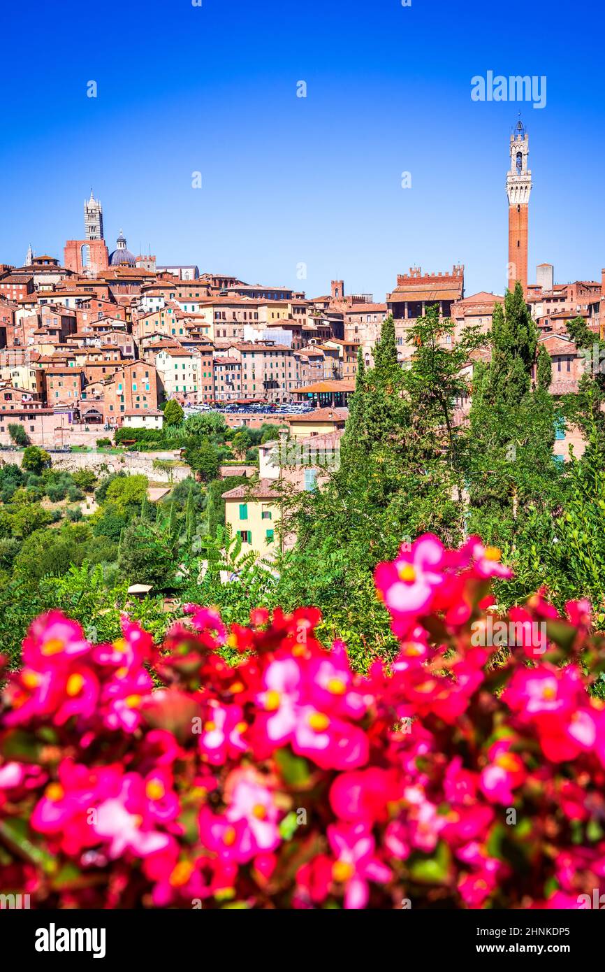 Siena, Italy. Summer scenery of Siena, a beautiful medieval town in ...