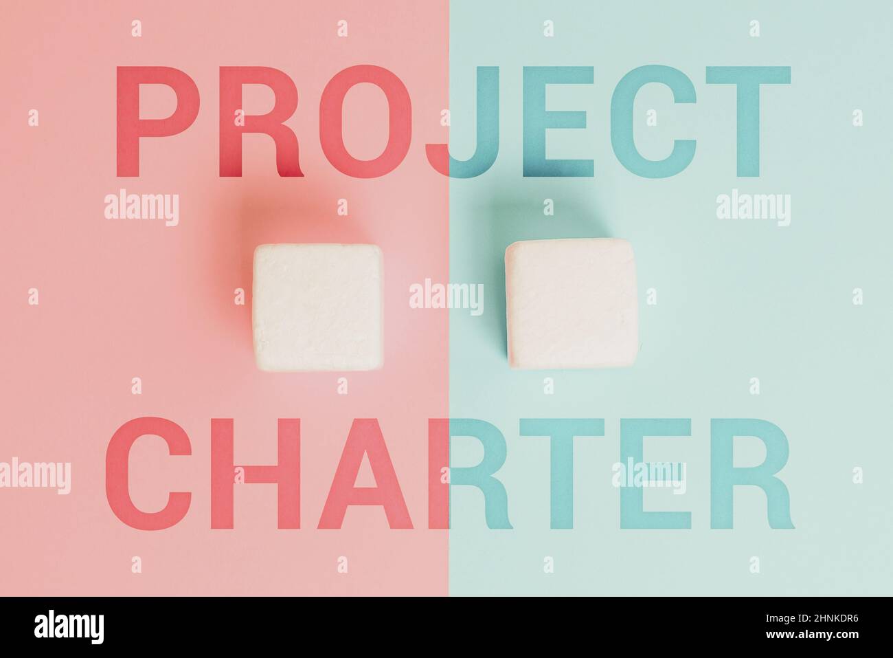 Text caption presenting Project Charter, Word for typically short ...