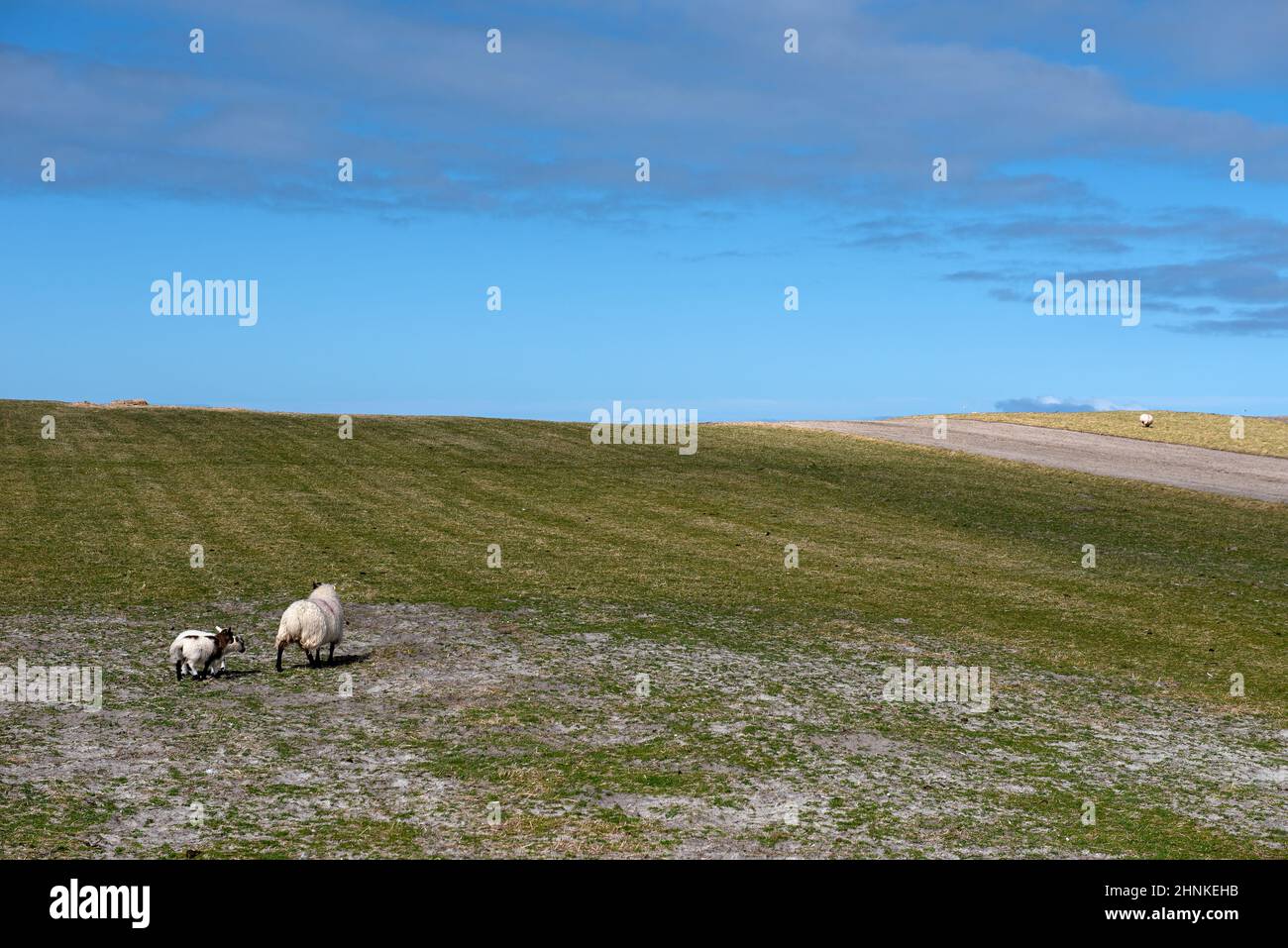 Scottish machair hi-res stock photography and images - Alamy