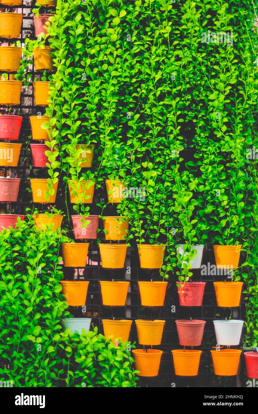 Vertical herb garden decoration landscape in individual multi color ...