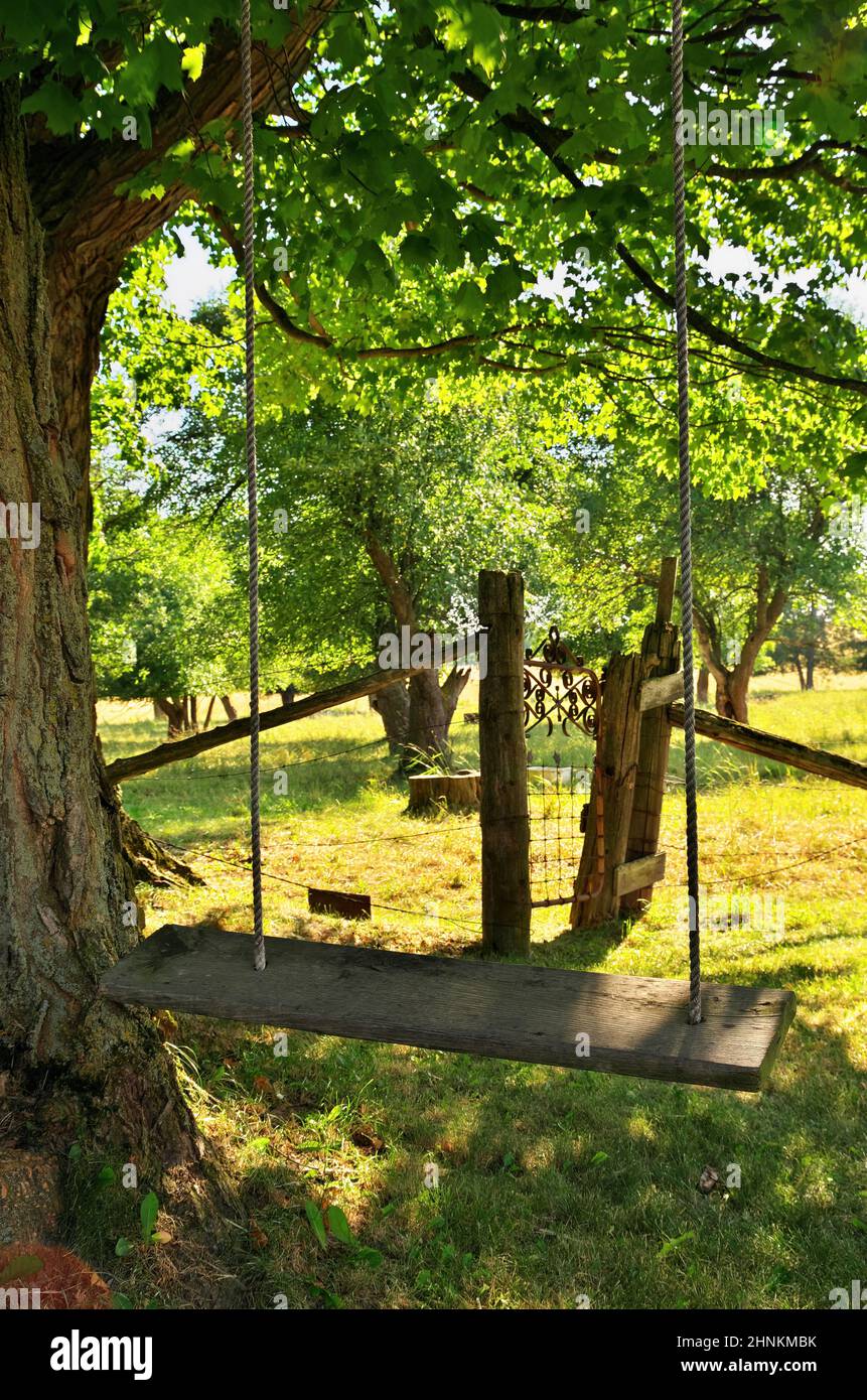 Homemade Rustic Wooden Swing Underneath Maple Tree on Farm in Summer ...