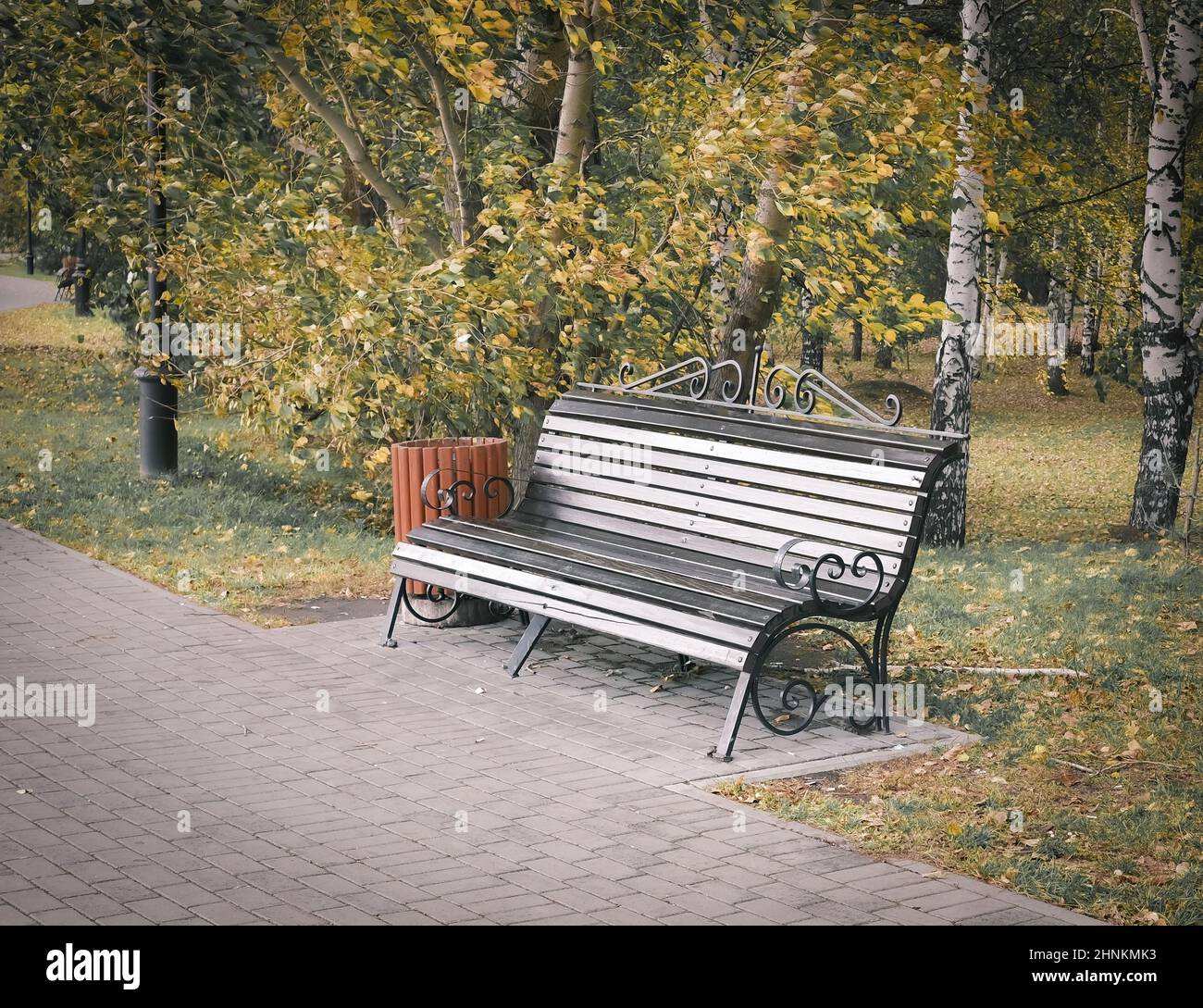 Windy weather trees hi-res stock photography and images - Alamy