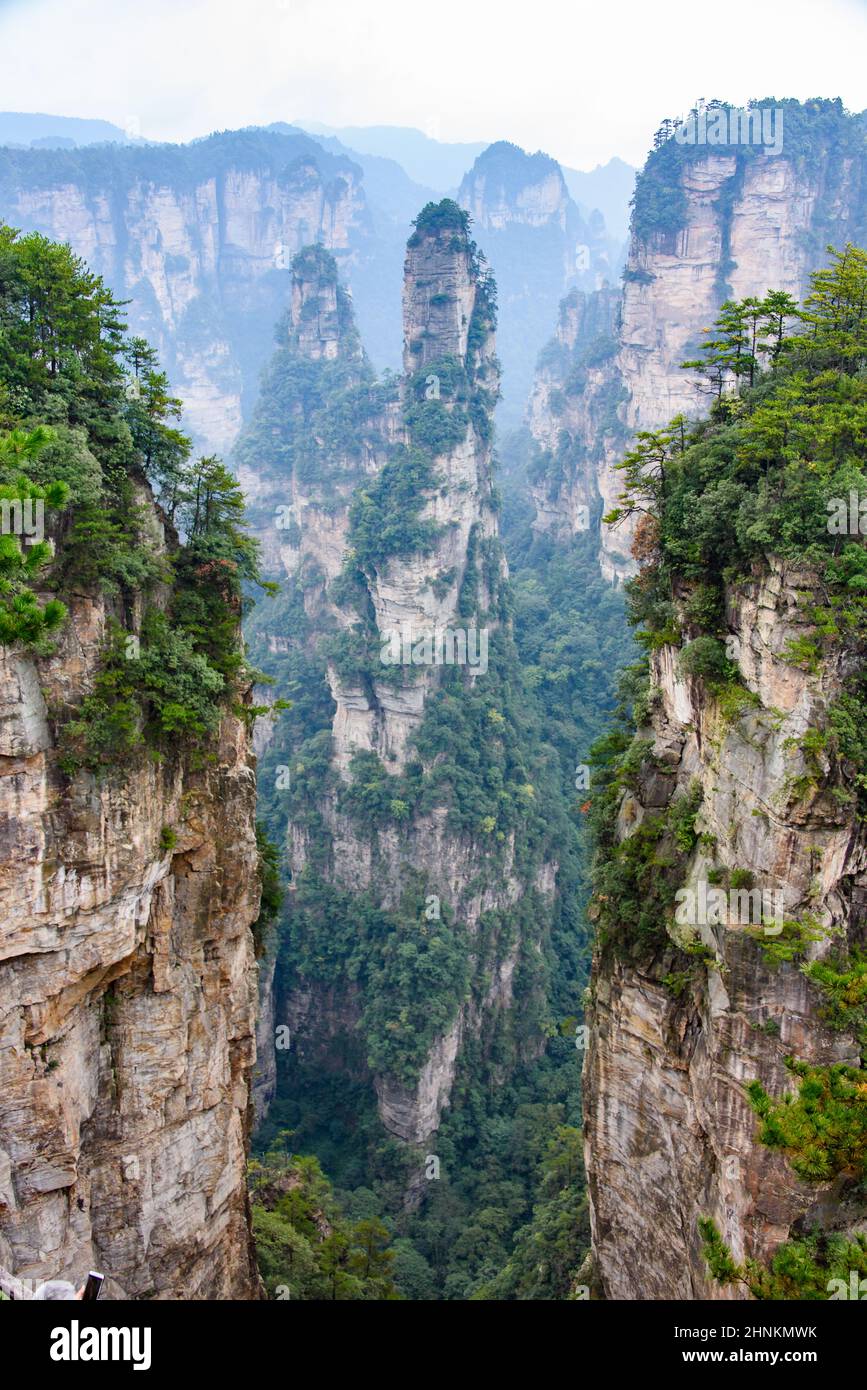 The peaks of Zhangjiajie National Forest that inspired the scenography ...