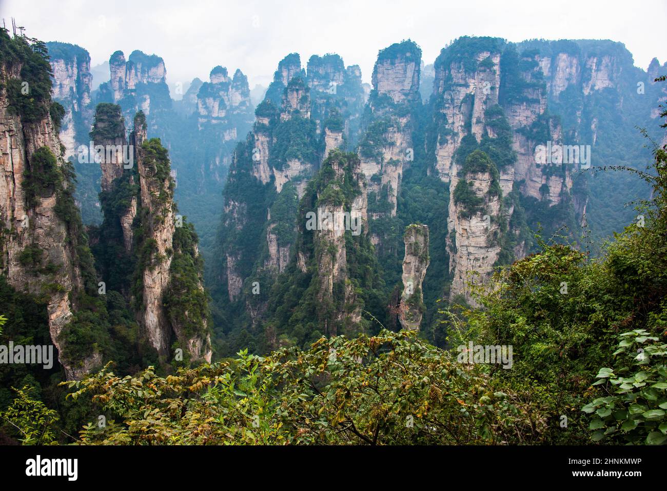 The peaks of Zhangjiajie National Forest that inspired the scenography ...