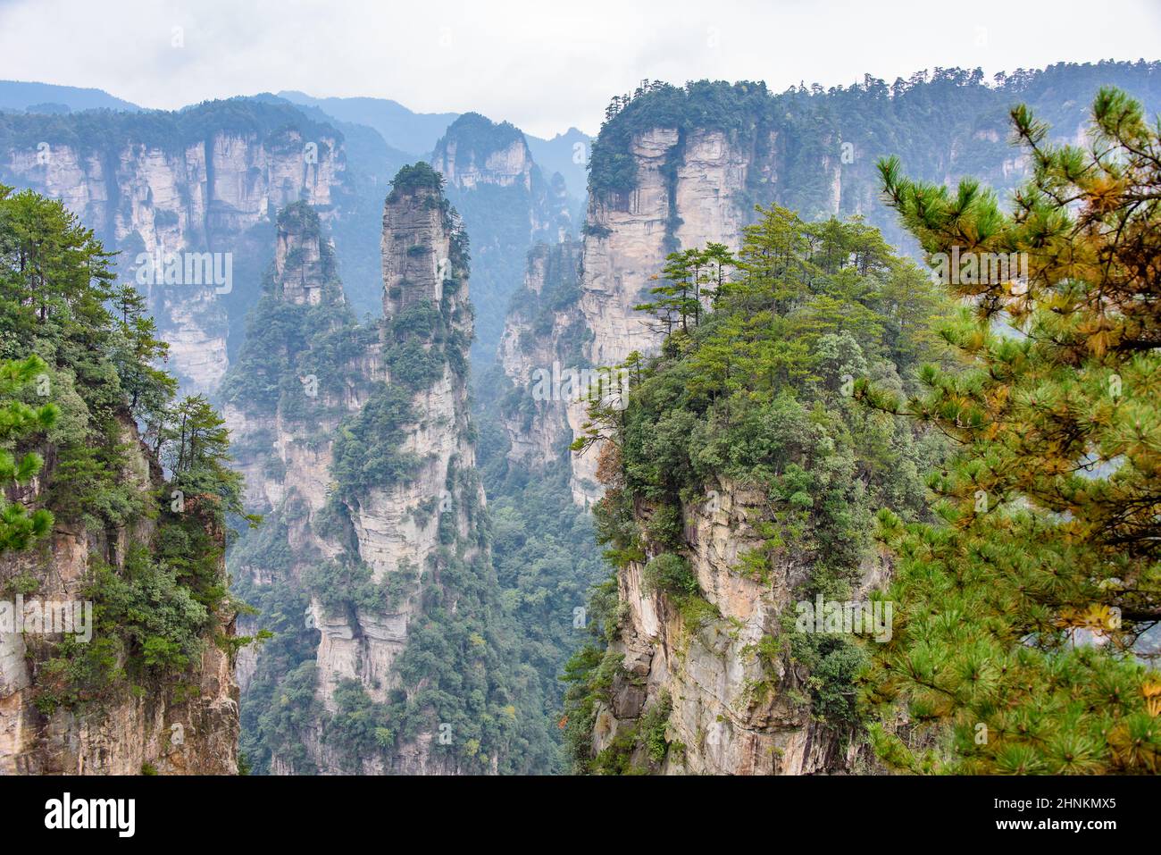The peaks of Zhangjiajie National Forest that inspired the scenography ...