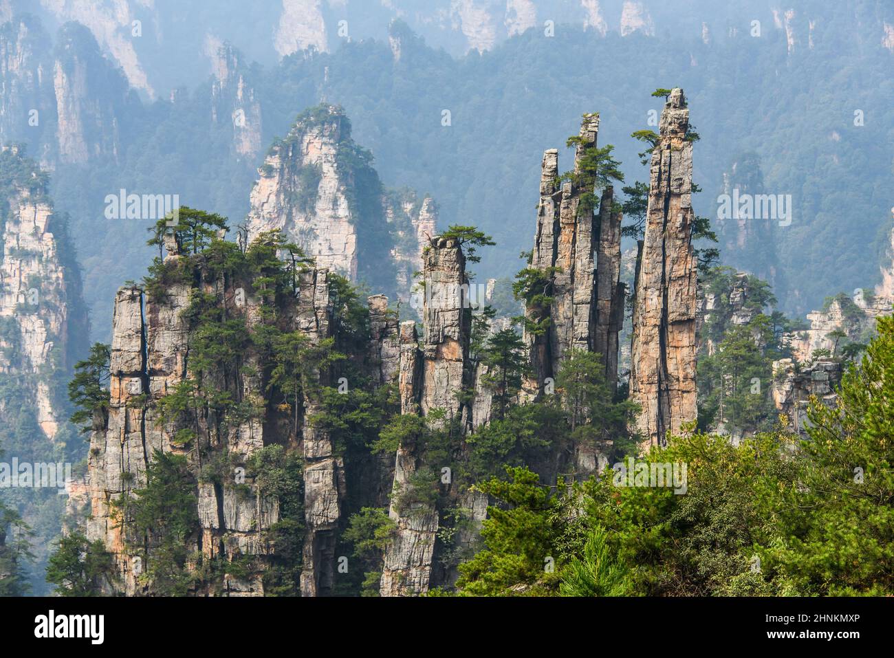 The peaks of Zhangjiajie National Forest that inspired the scenography ...