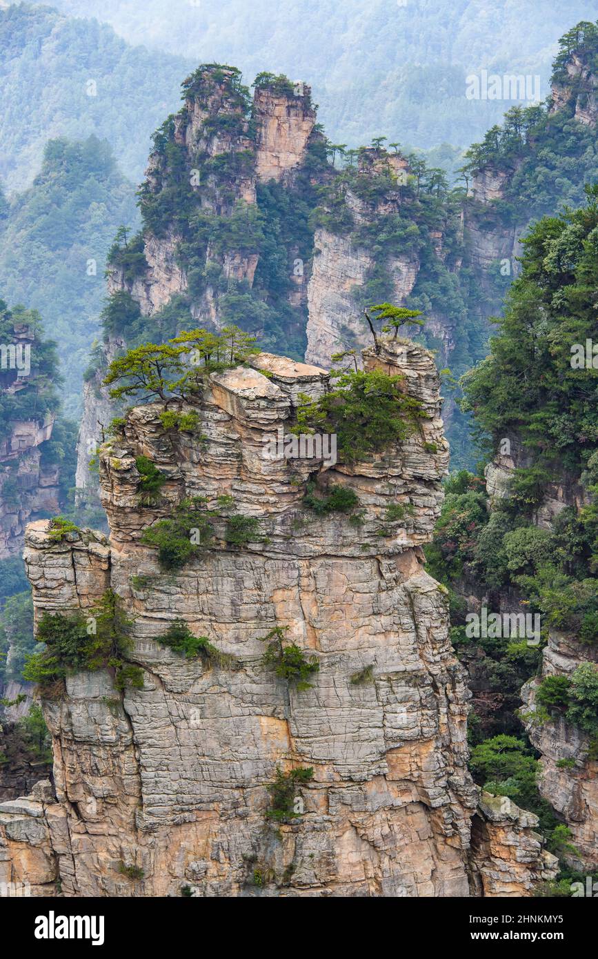 The peaks of Zhangjiajie National Forest that inspired the scenography ...