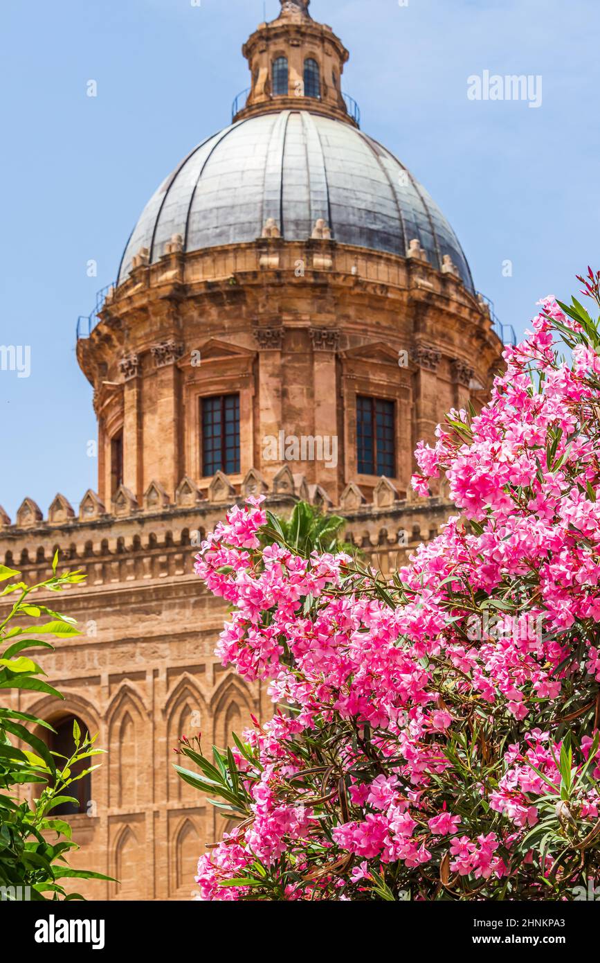 Palermo cathedral dome hi-res stock photography and images - Alamy