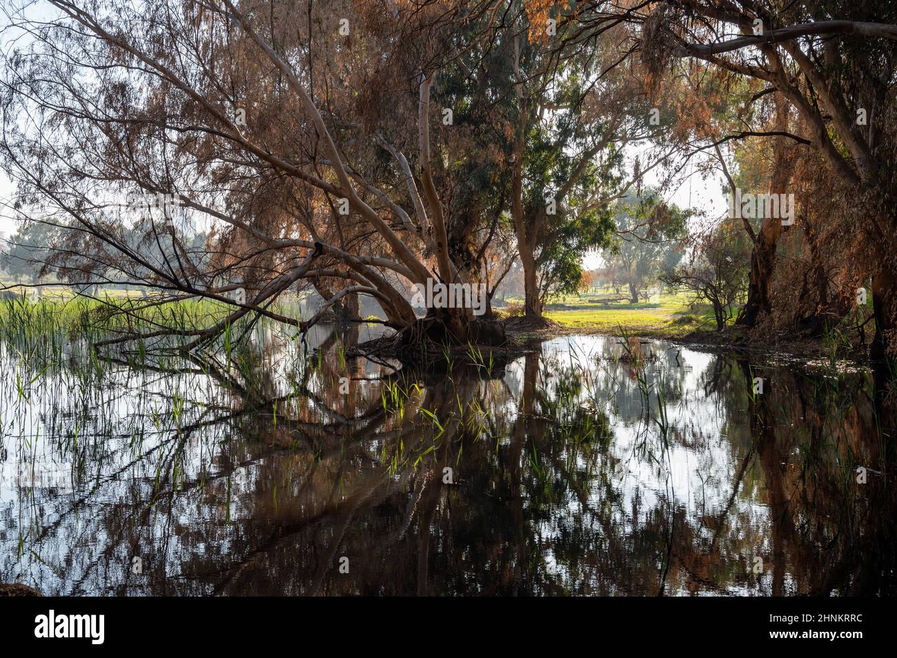winter lake Park in Netanya in Israel Stock Photo - Alamy