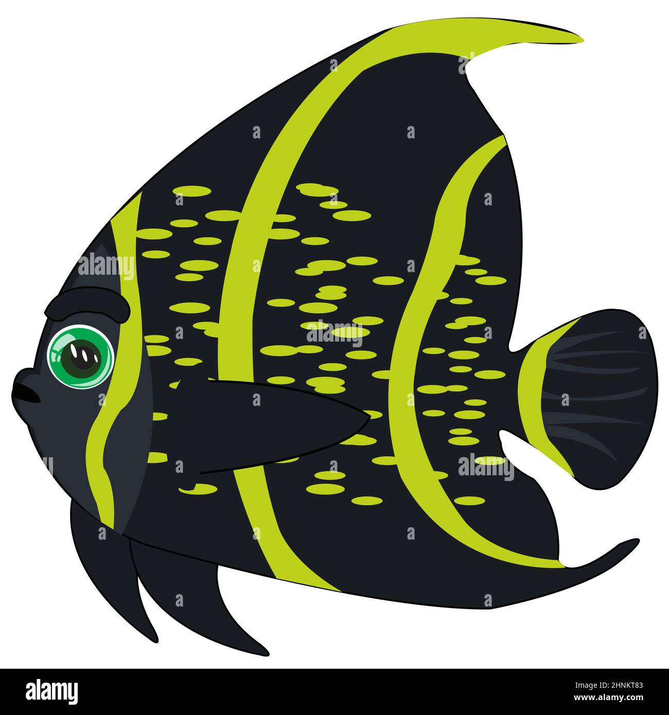 Colorful tropical fish on white background is insulated Stock Photo - Alamy