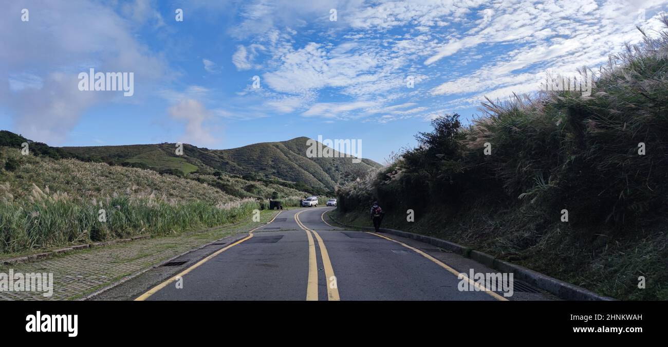 The natural source of alpine grasses is at Shangshan in Taipei City ...