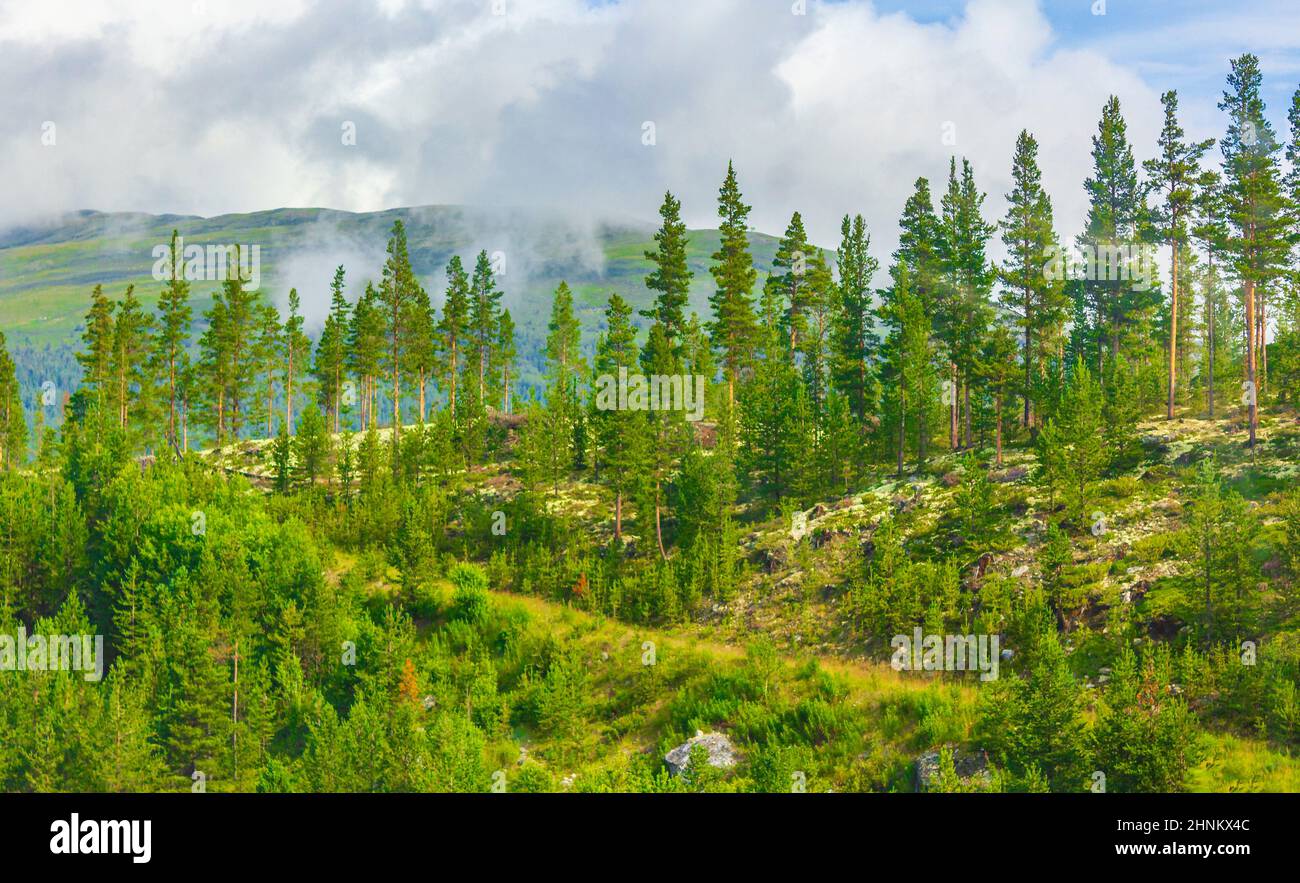 Amazing incredible norwegian landscape with mountains and forests in ...