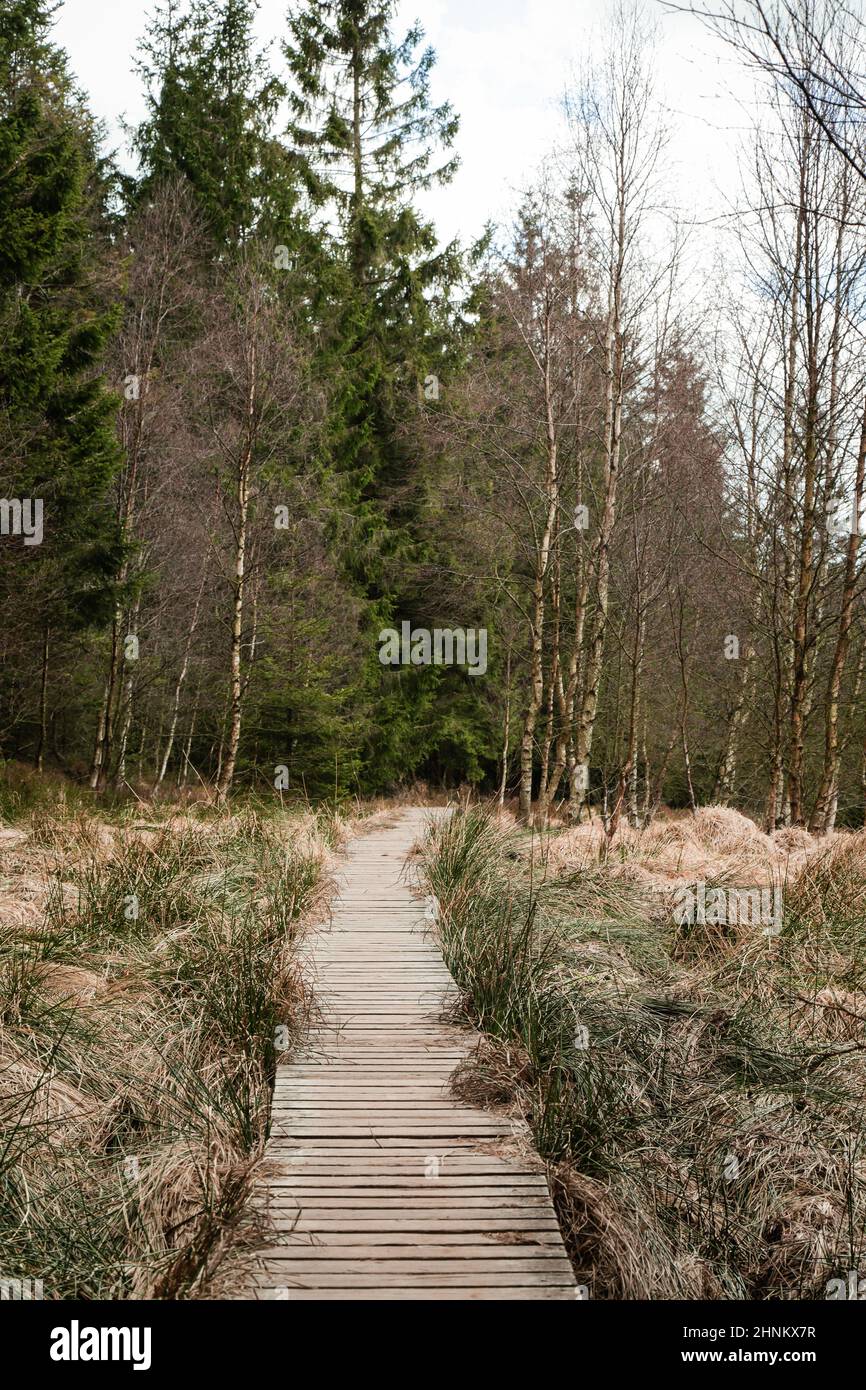 The High Fens Stock Photo - Alamy