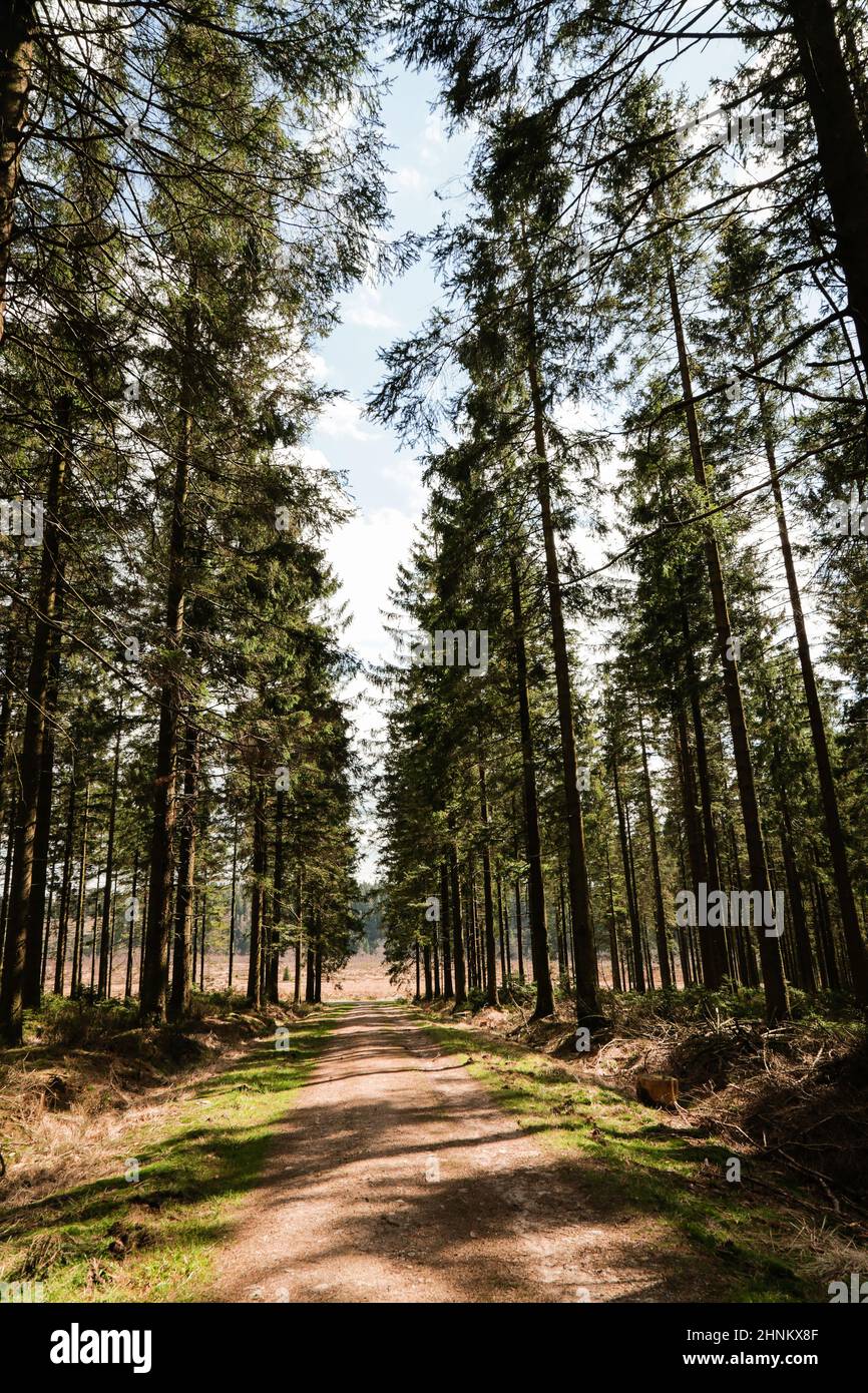 The High Fens Stock Photo - Alamy