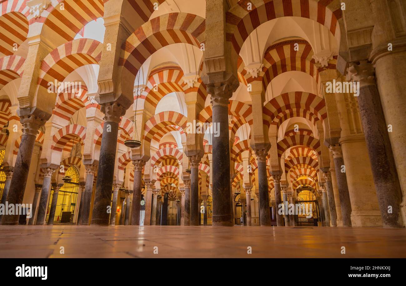 Prayer hall great mosque hi-res stock photography and images - Alamy