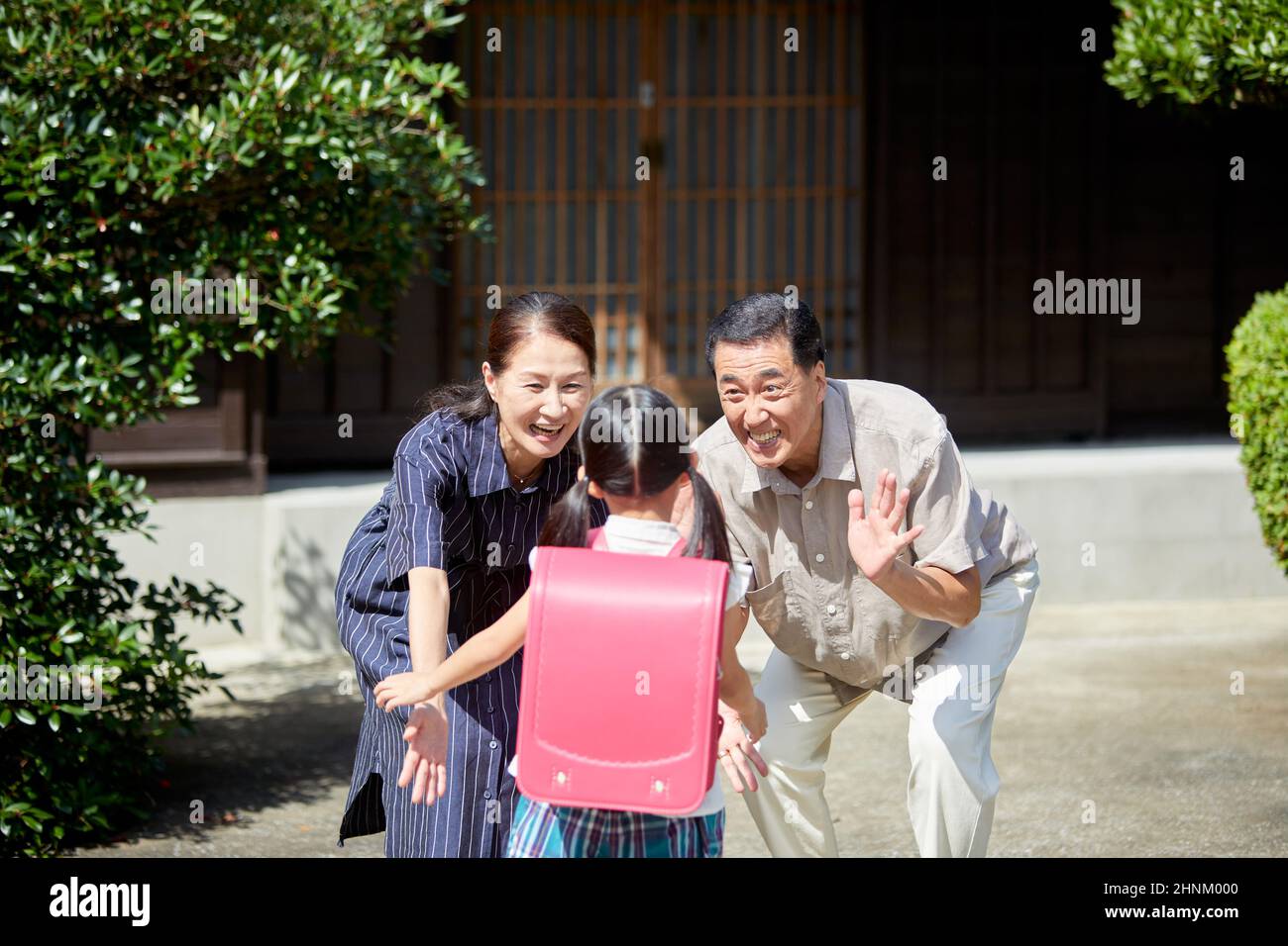 Grandchild pig hi-res stock photography and images - Alamy