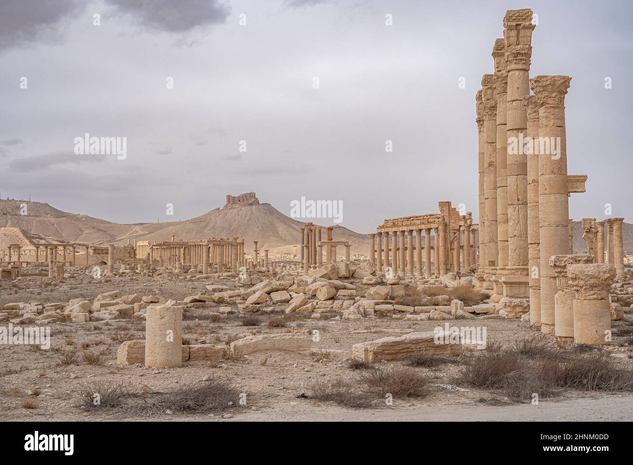 Roman ruins in the desert oasis of Palmyra, Syria Stock Photo - Alamy