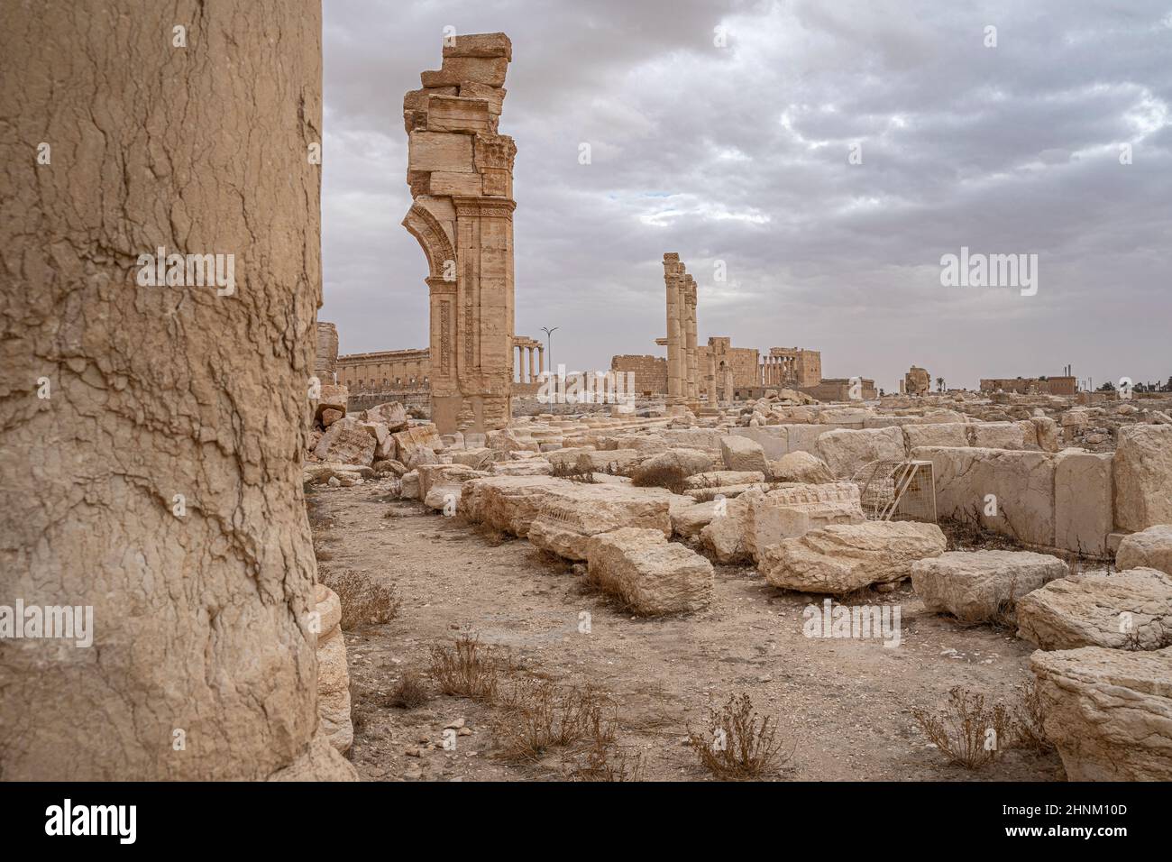 Roman ruins in the desert oasis of Palmyra, Syria Stock Photo - Alamy