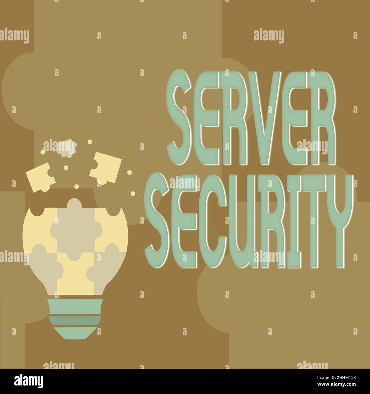 Text Caption Presenting Server Security Concept Meaning Web Server That Guarantees Secure