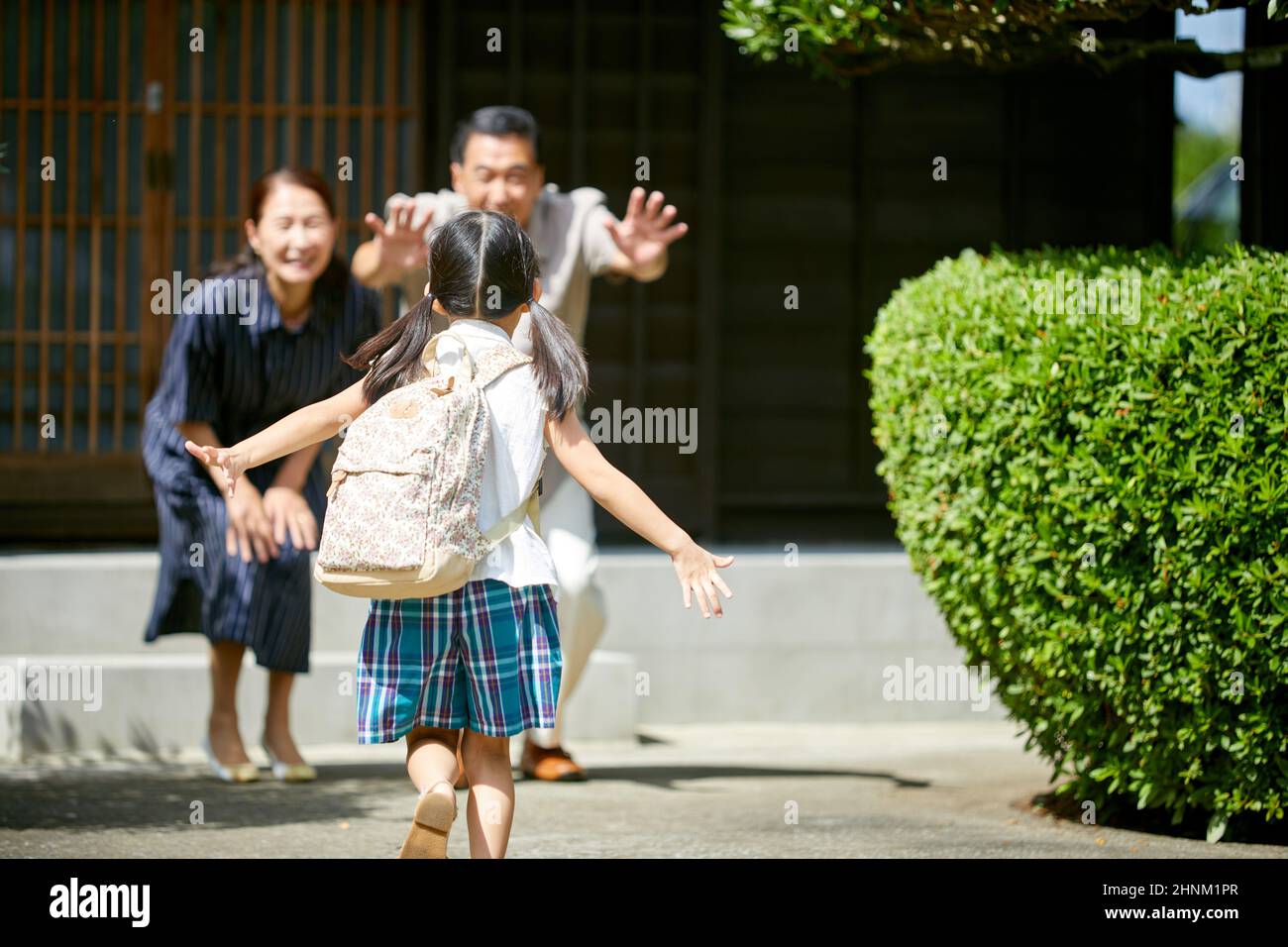Grandchild pig hi-res stock photography and images - Alamy