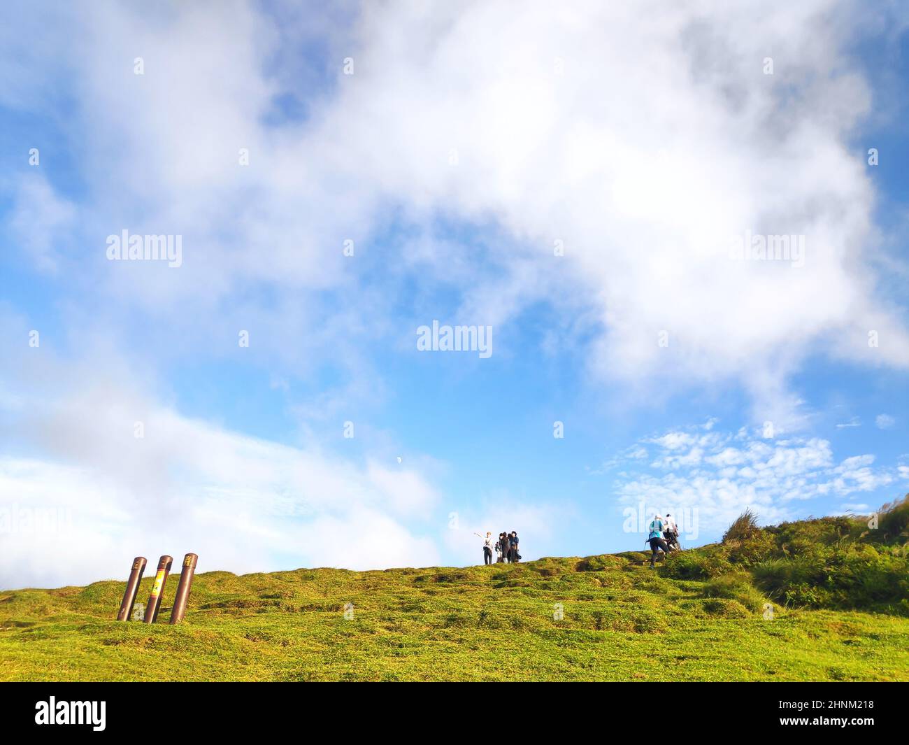 The natural source of alpine grasses is at Shangshan in Taipei City ...