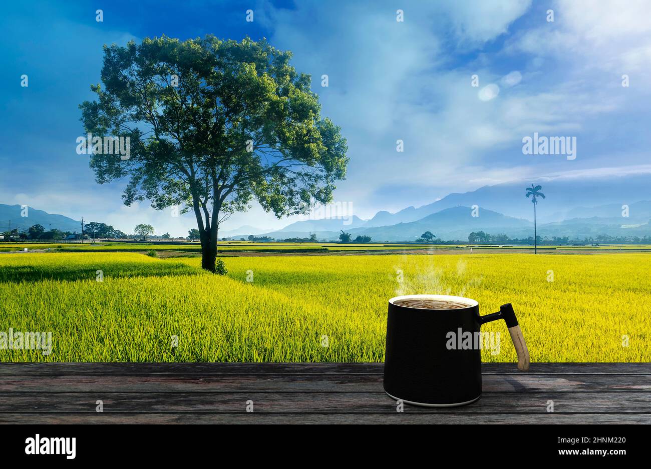 The natural source of alpine grasses is at Shangshan in Taipei City ...